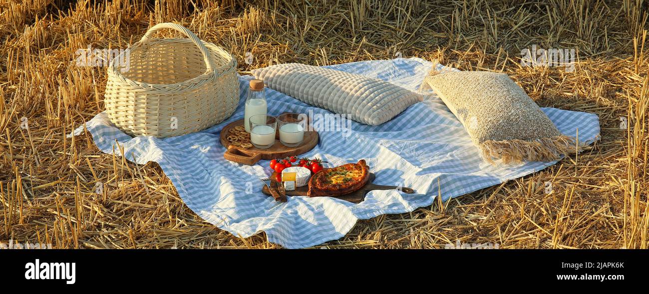 Plaid with tasty food for picnic in field Stock Photo - Alamy