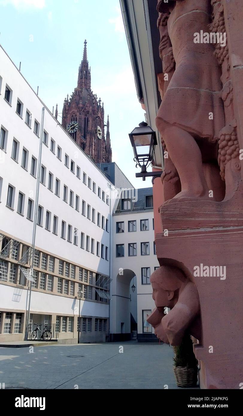 Rebstock hi-res stock photography and images - Alamy