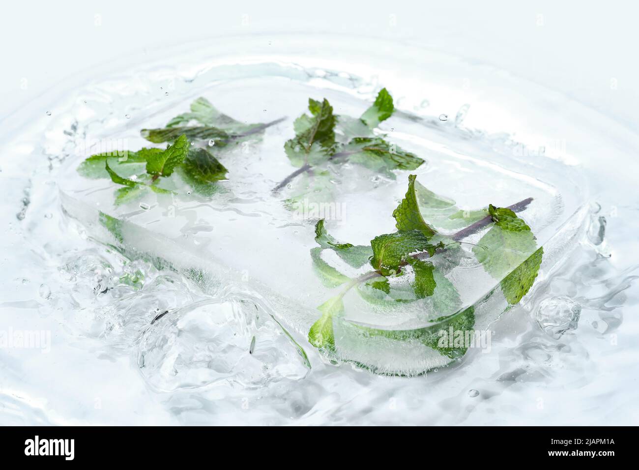 Fresh mint frozen in ice with splash of water on white background Stock ...