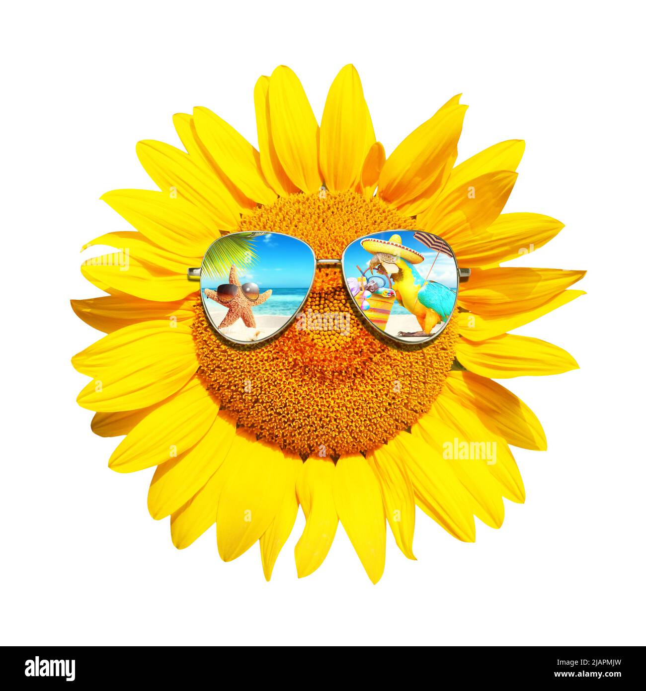Isolated sunflower with sunglasses and happy face Stock Photo - Alamy