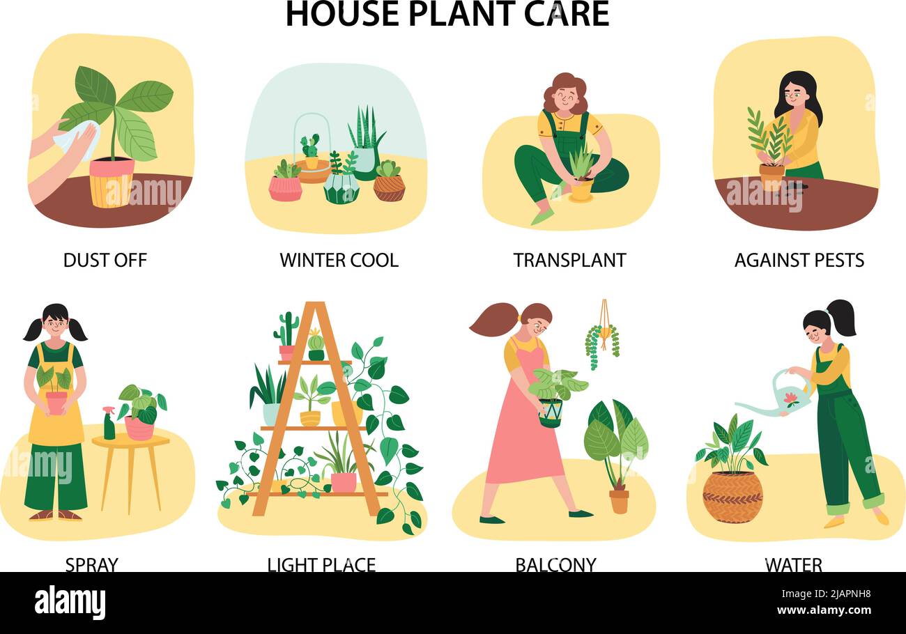 Floral descriptions Cut Out Stock Images & Pictures - Alamy