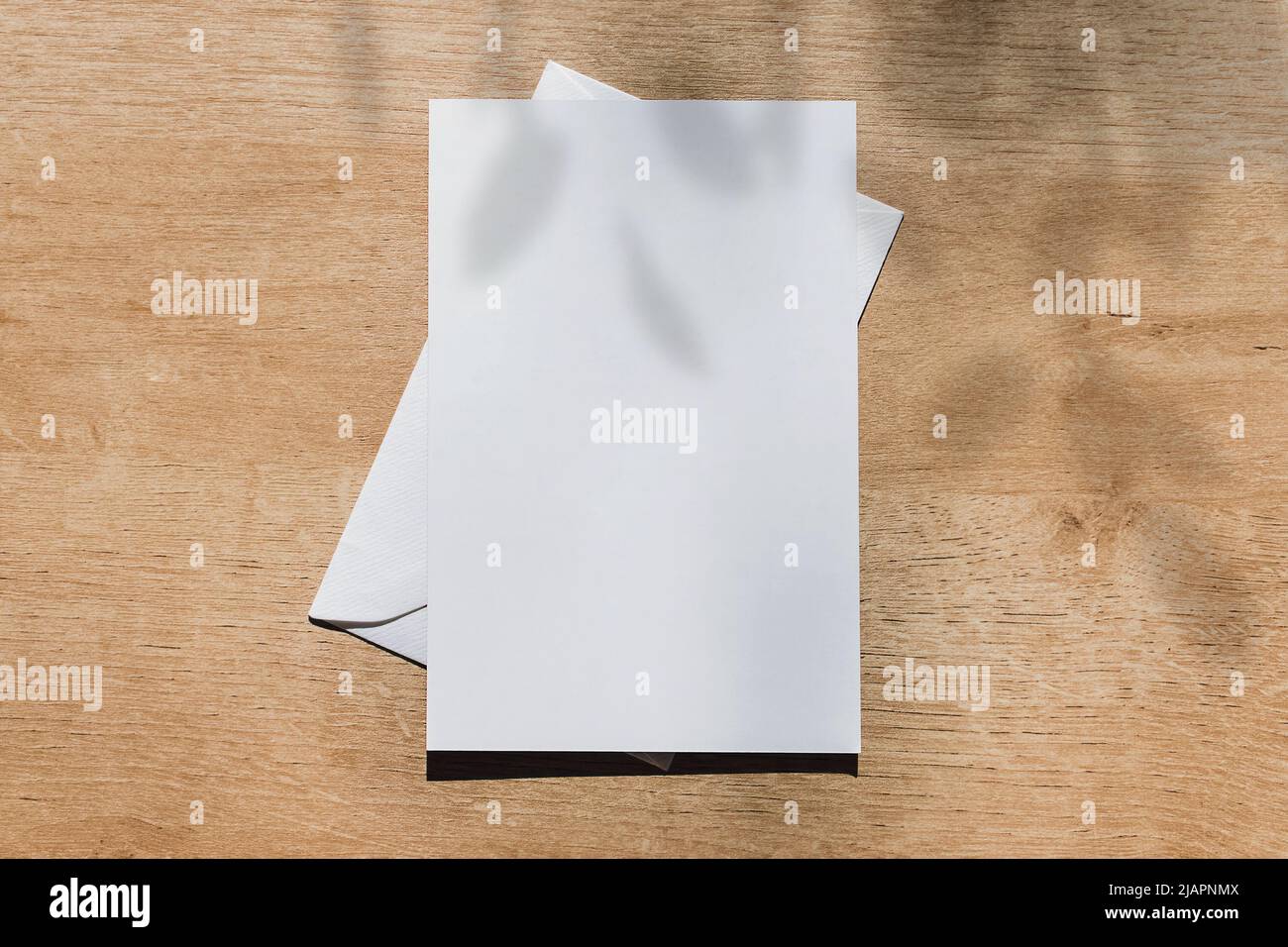 Minimalist Letter Format Paper Template Card Mock up On Wooden Table minimalist-letter-format-paper-template-card-mock-up-on-wooden-table