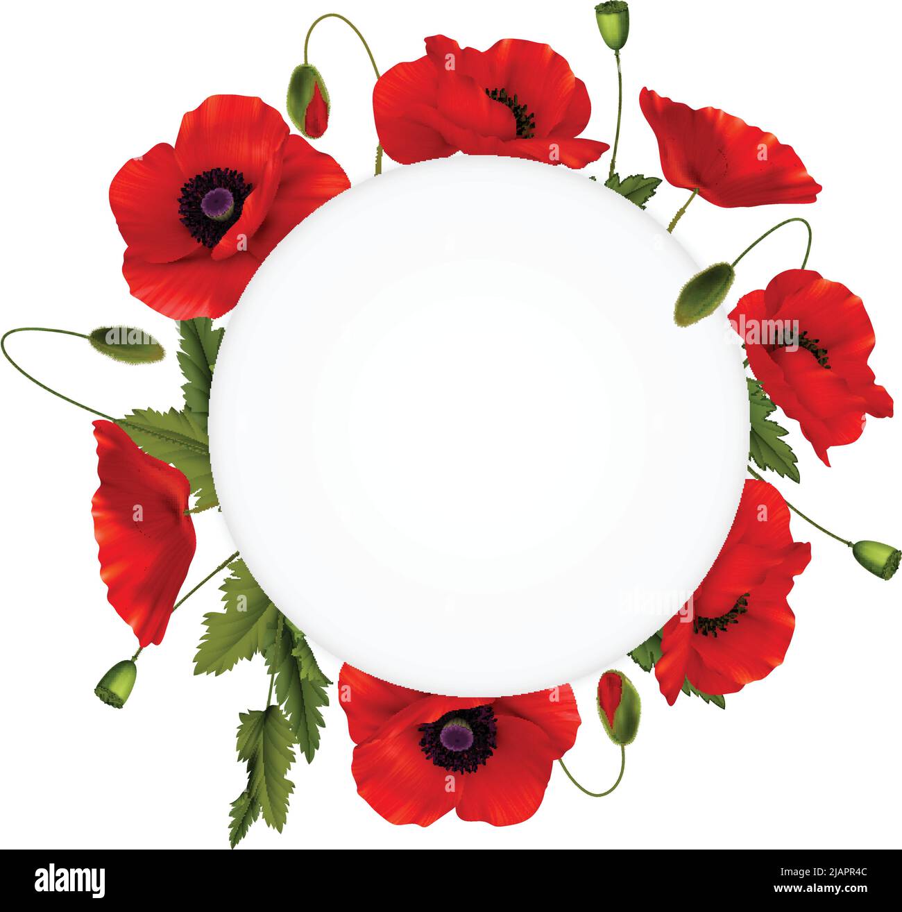 Remembrance day composition with frame consisting from red poppies ...