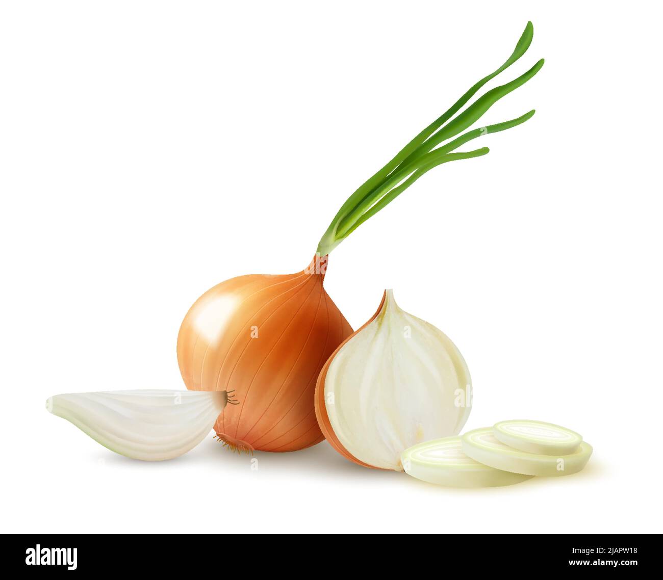 Realistic whole and sliced yellow onion with sprouts composition ...