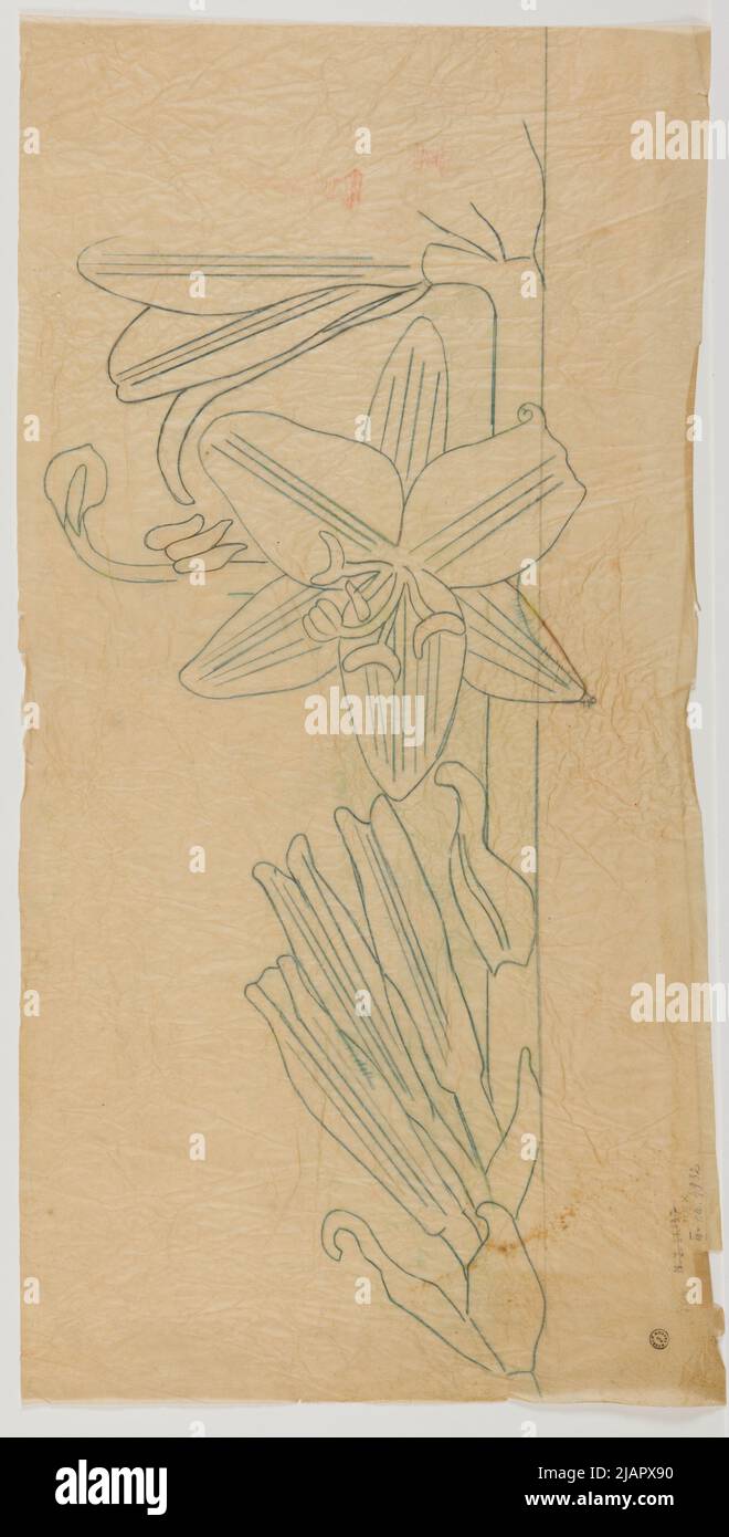 Lilies. Project for the painting decoration of the Franciscan church in ...
