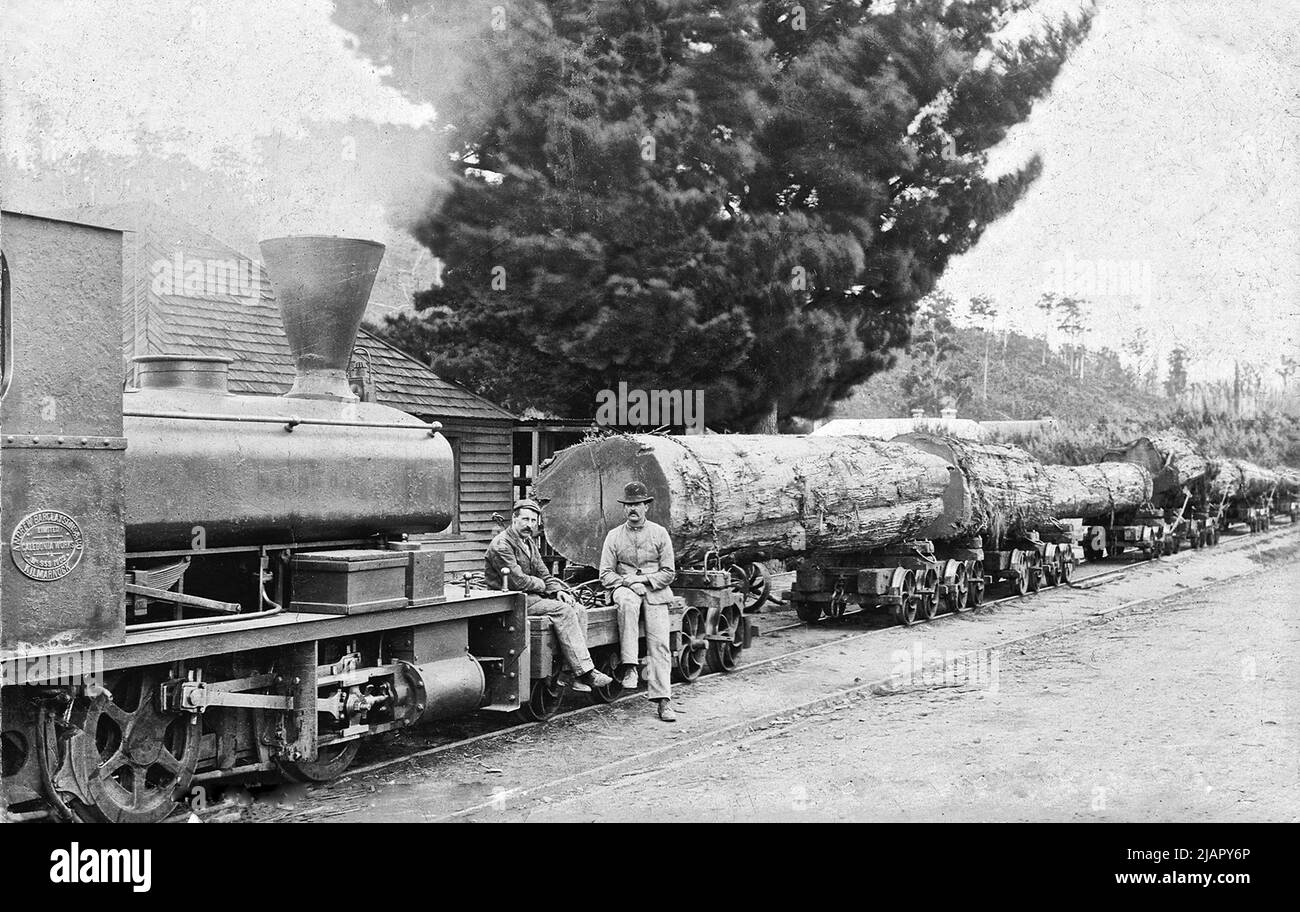 Andrew Barclay built 0-4-0ST Huon on a loaded train of logs for the ...
