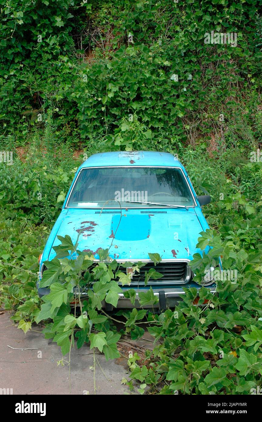 Kudzu car hi-res stock photography and images - Alamy