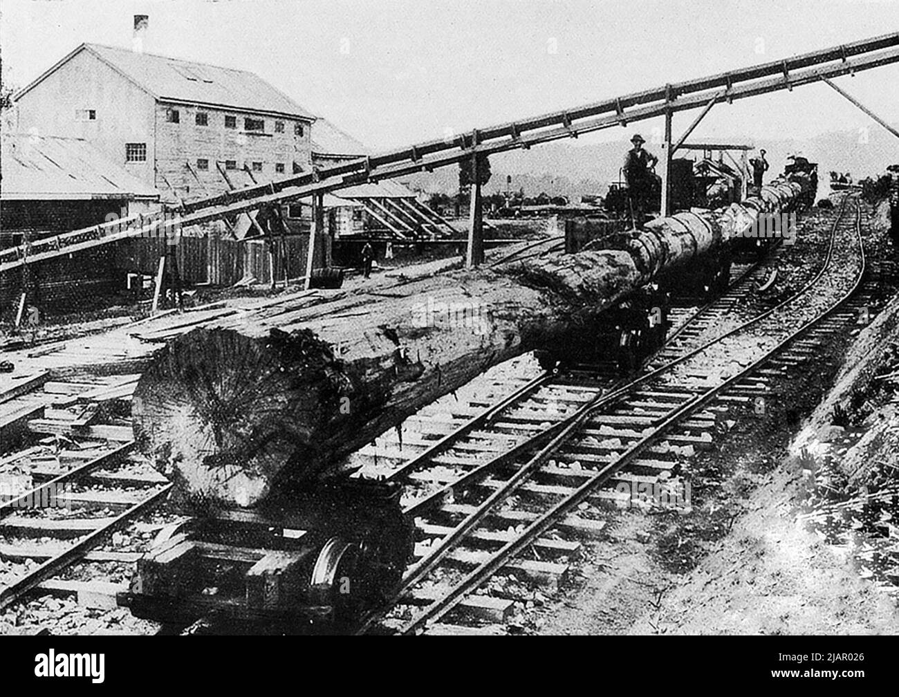 1920s logging industry hi-res stock photography and images - Alamy