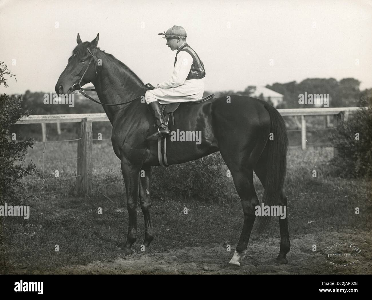 Jockey frank dempsey hi-res stock photography and images - Alamy