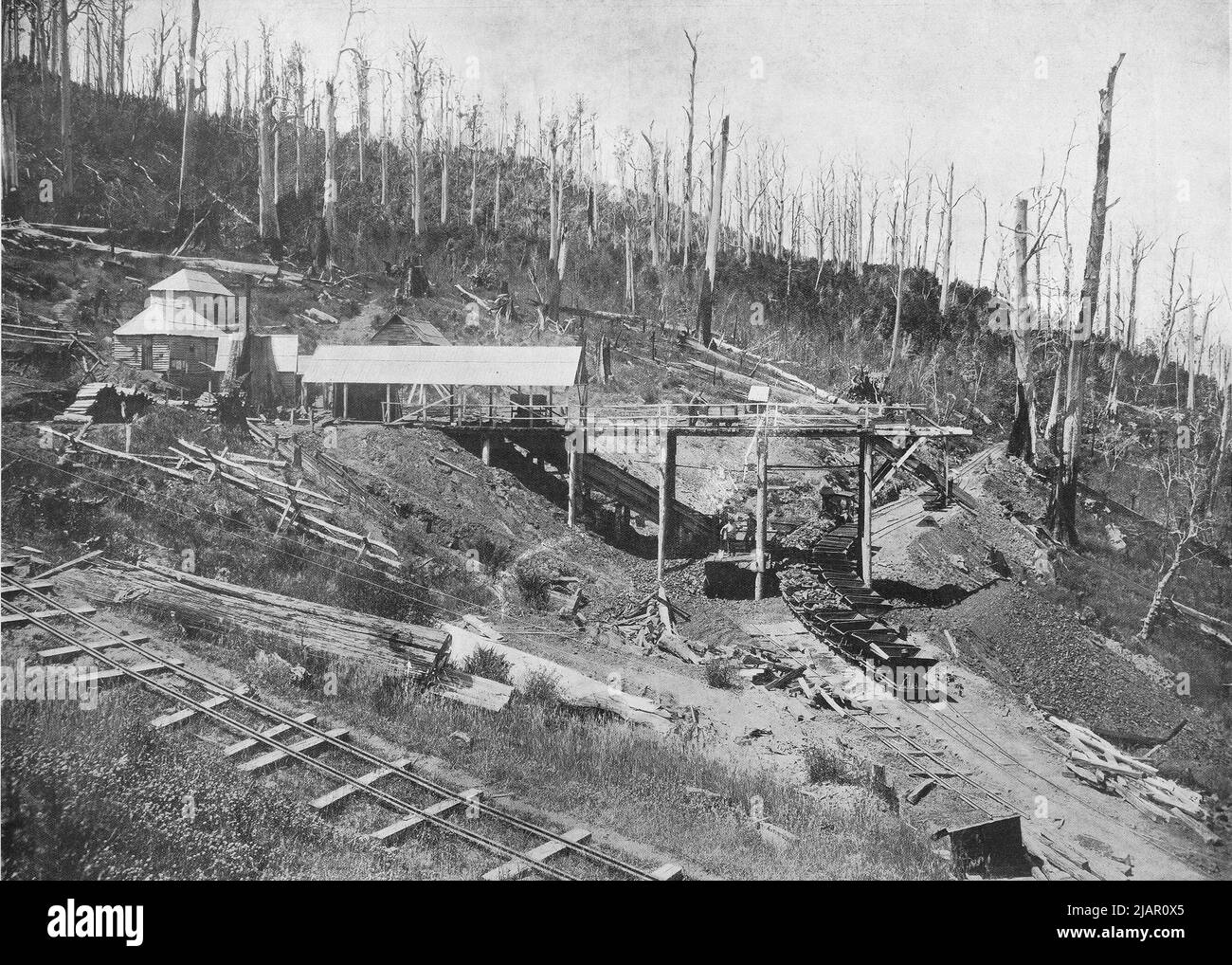 The Sandfly Colliery and Tramway. Coal screens at Kaoota ca. 1902 Stock ...