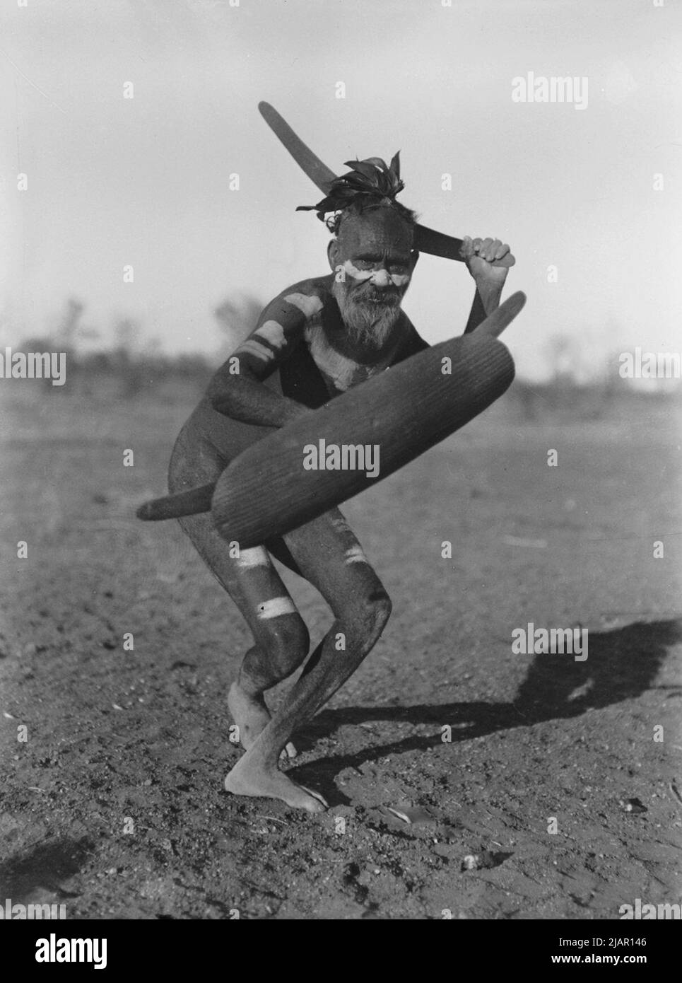 Luritja man demonstrating method of attack with boomerang under cover ...