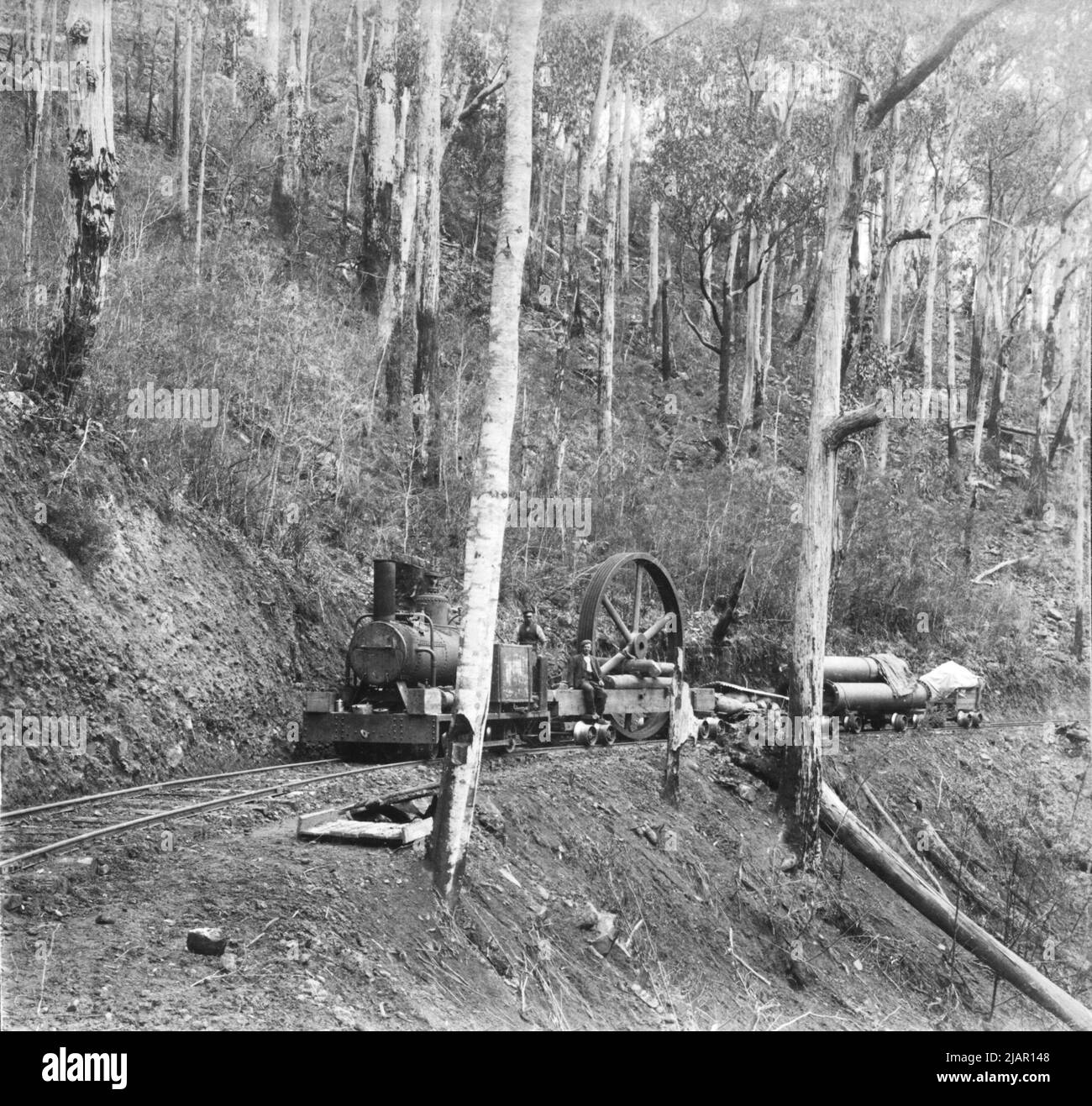 Allport locomotive on the Wielangta mill tramway, 1910 - This is the ...