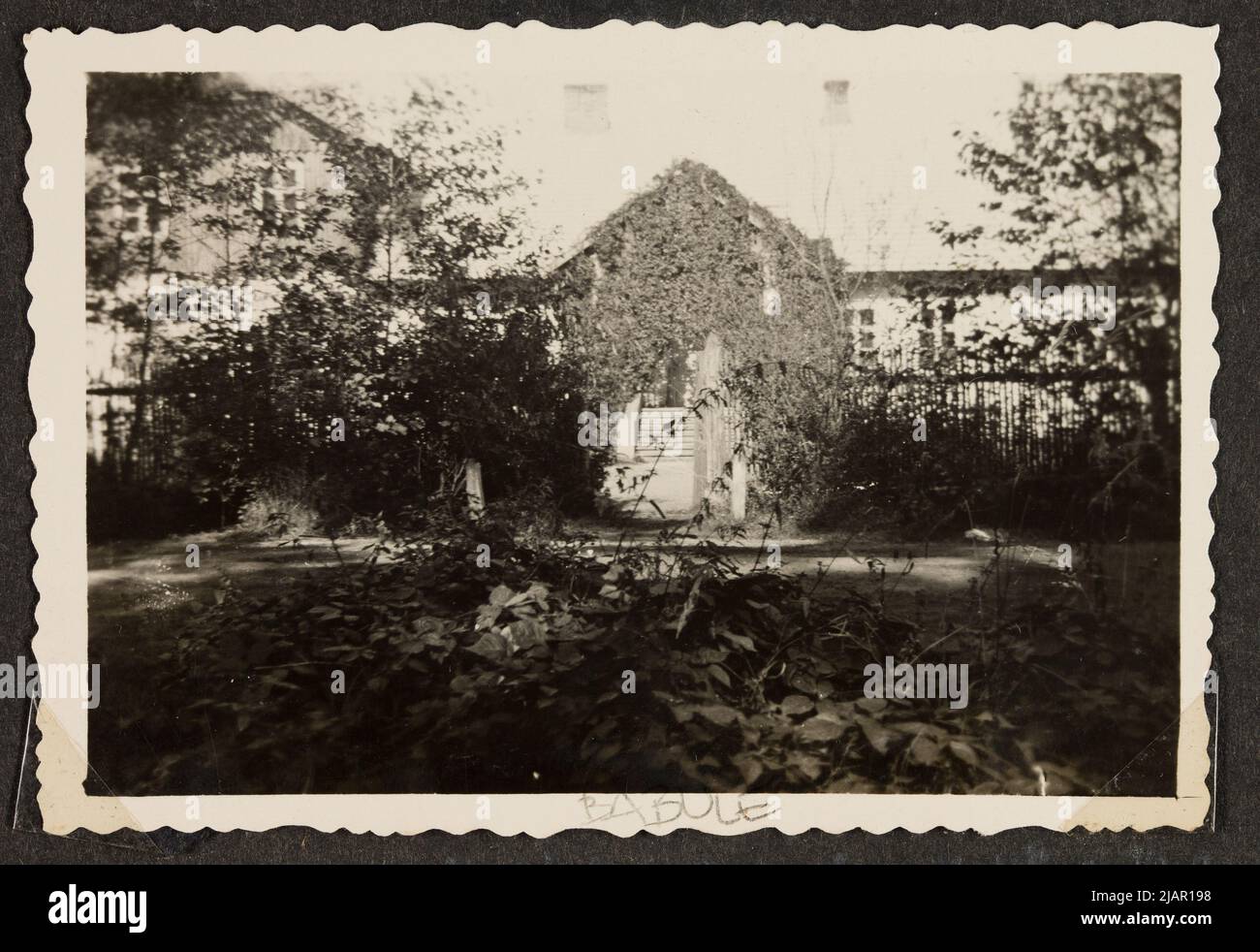 A manor in Babula with a vine with a porch and a bunk wing. Circle of ...