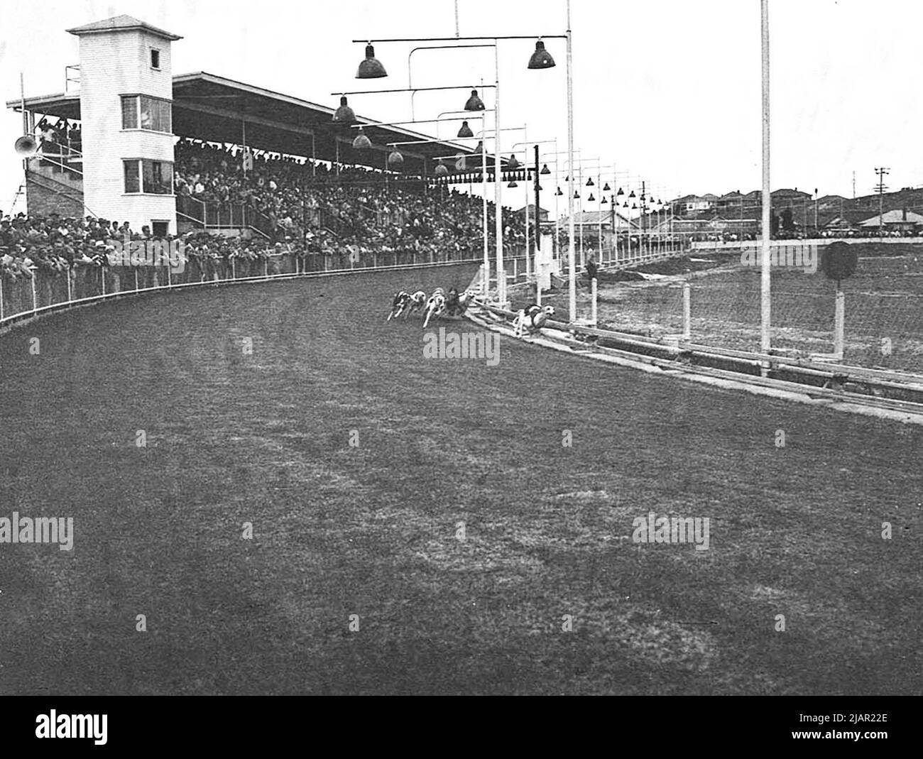Dog racetrack, dogs racing, in Newcastle NSW ca. 1953 Stock Photo - Alamy