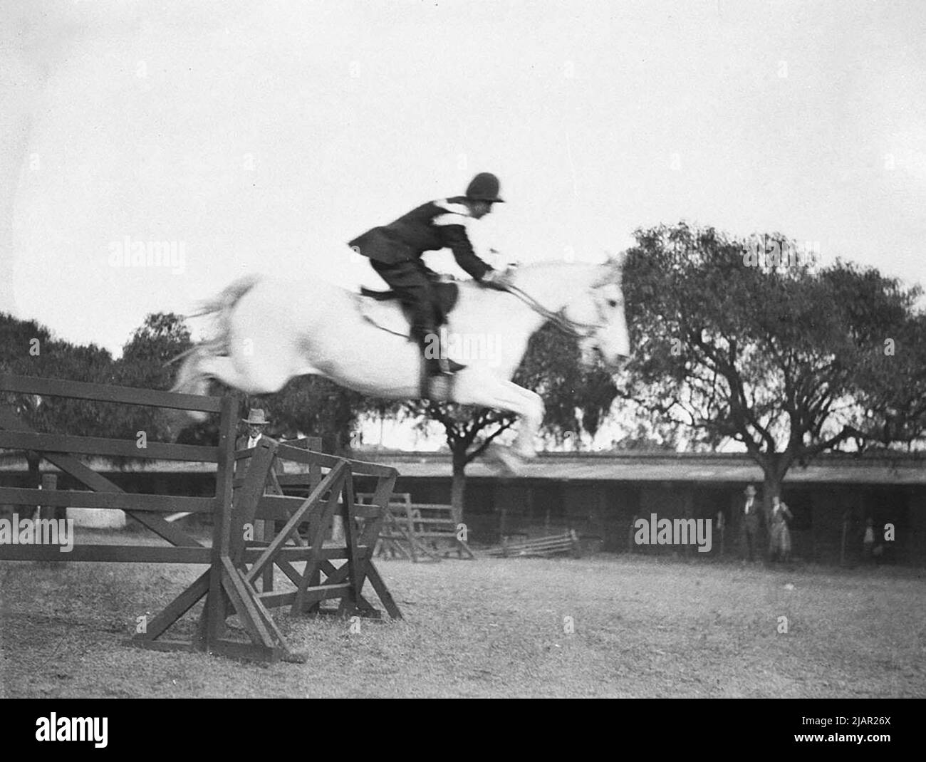 White horse jumping a fence Equestrian event ca. between 1925 and 1957 ...