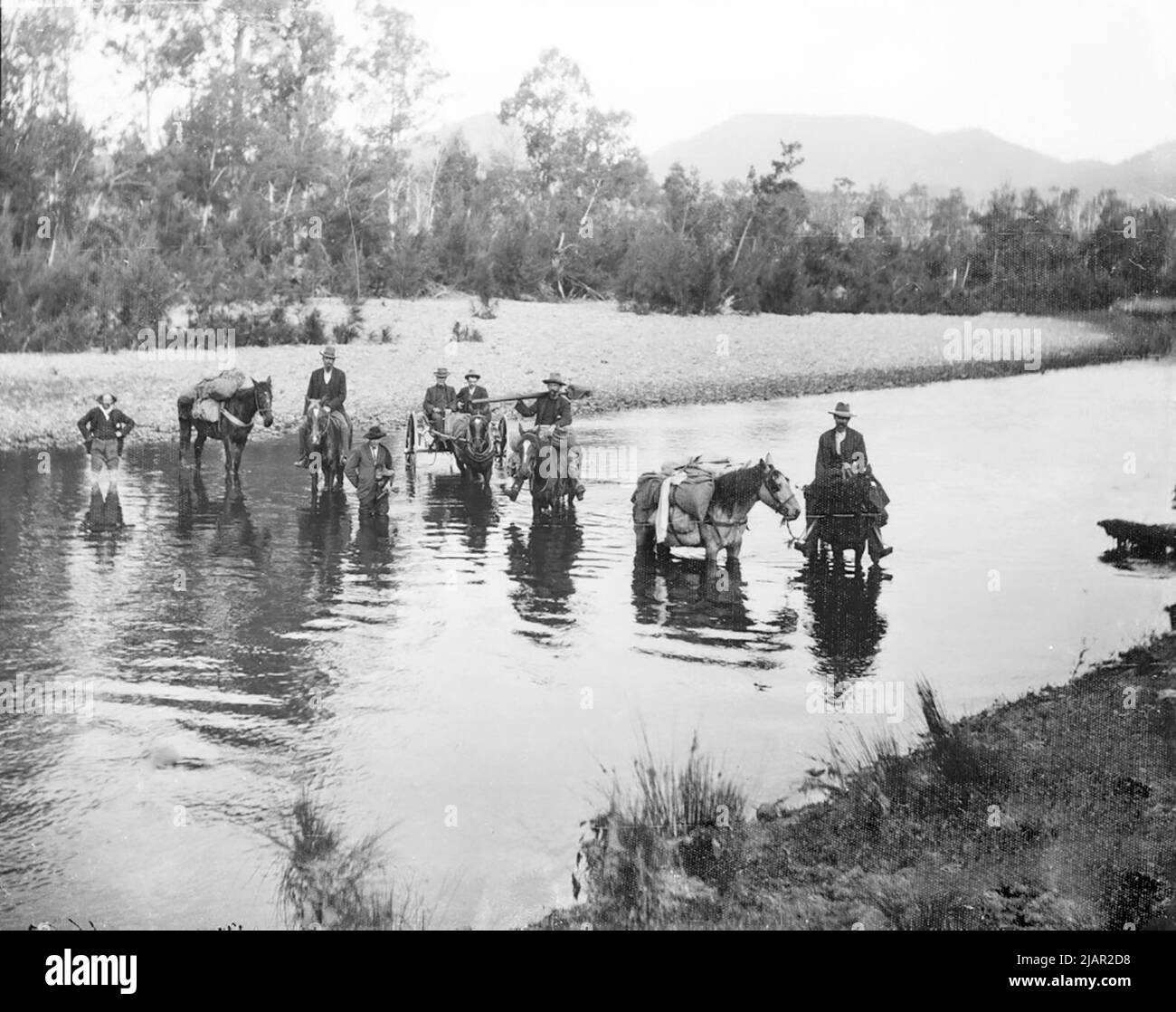 Men on horseback with pack animals crossing the Wollondilly River ca ...