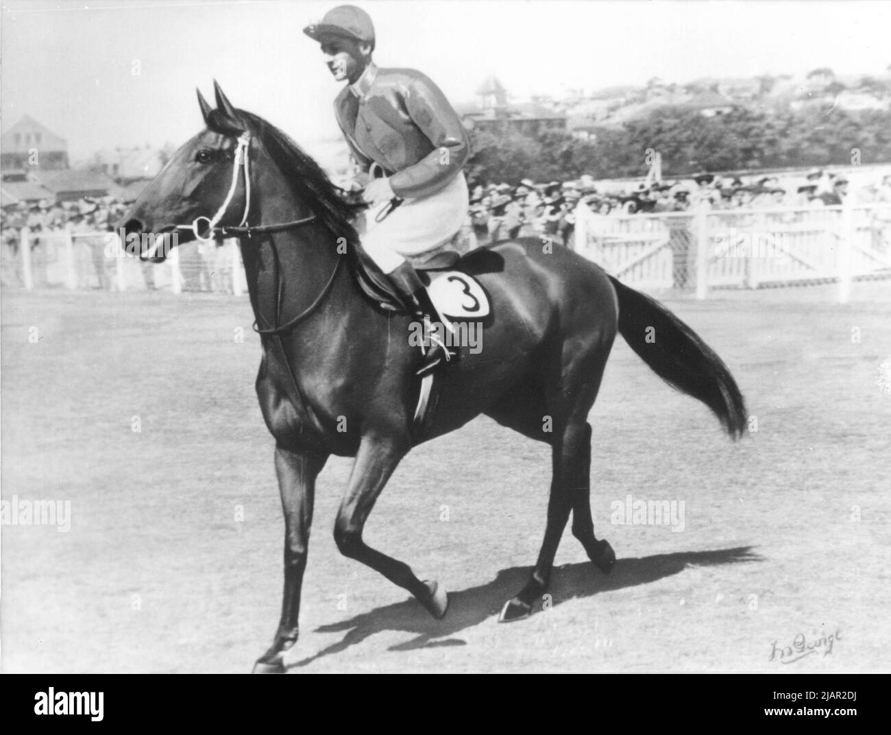 Flight 1944 AJC Australia Day Handicap Randwick Racecourse Jockey Jack ...