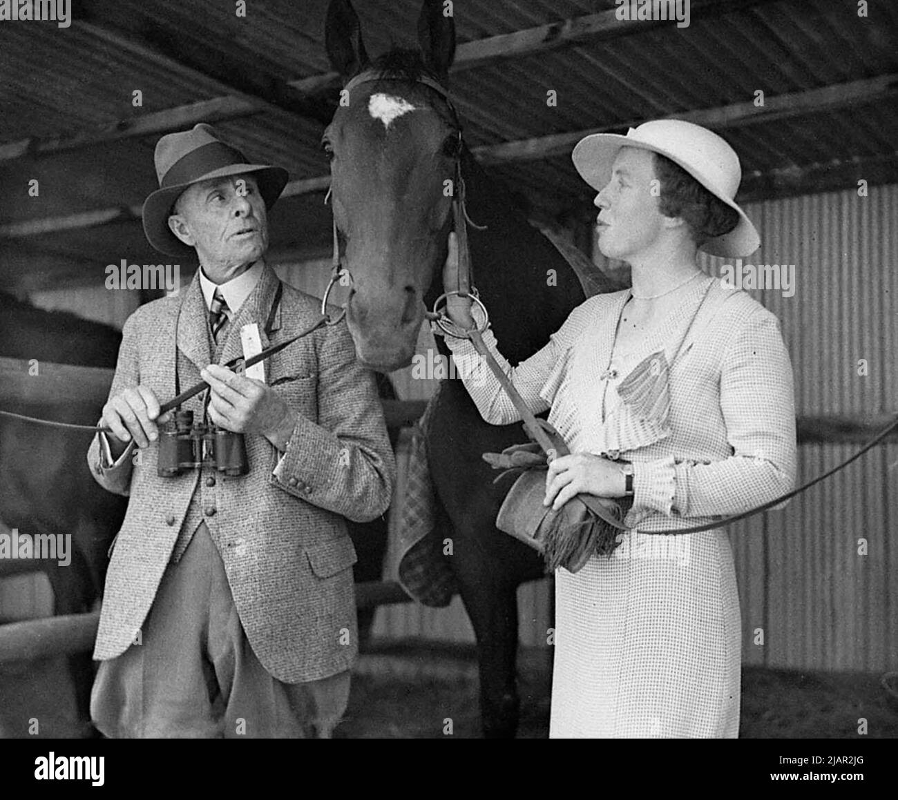 Man and woman in a stable looking at a race horse at the Yass races ca ...