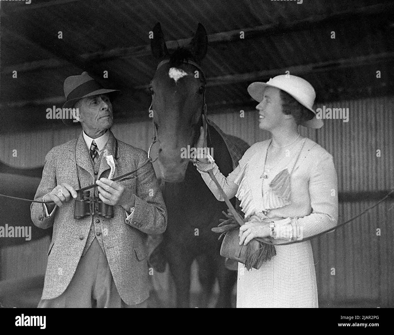 Woman and man admiring a horse in the stable at the Yass races ca ...