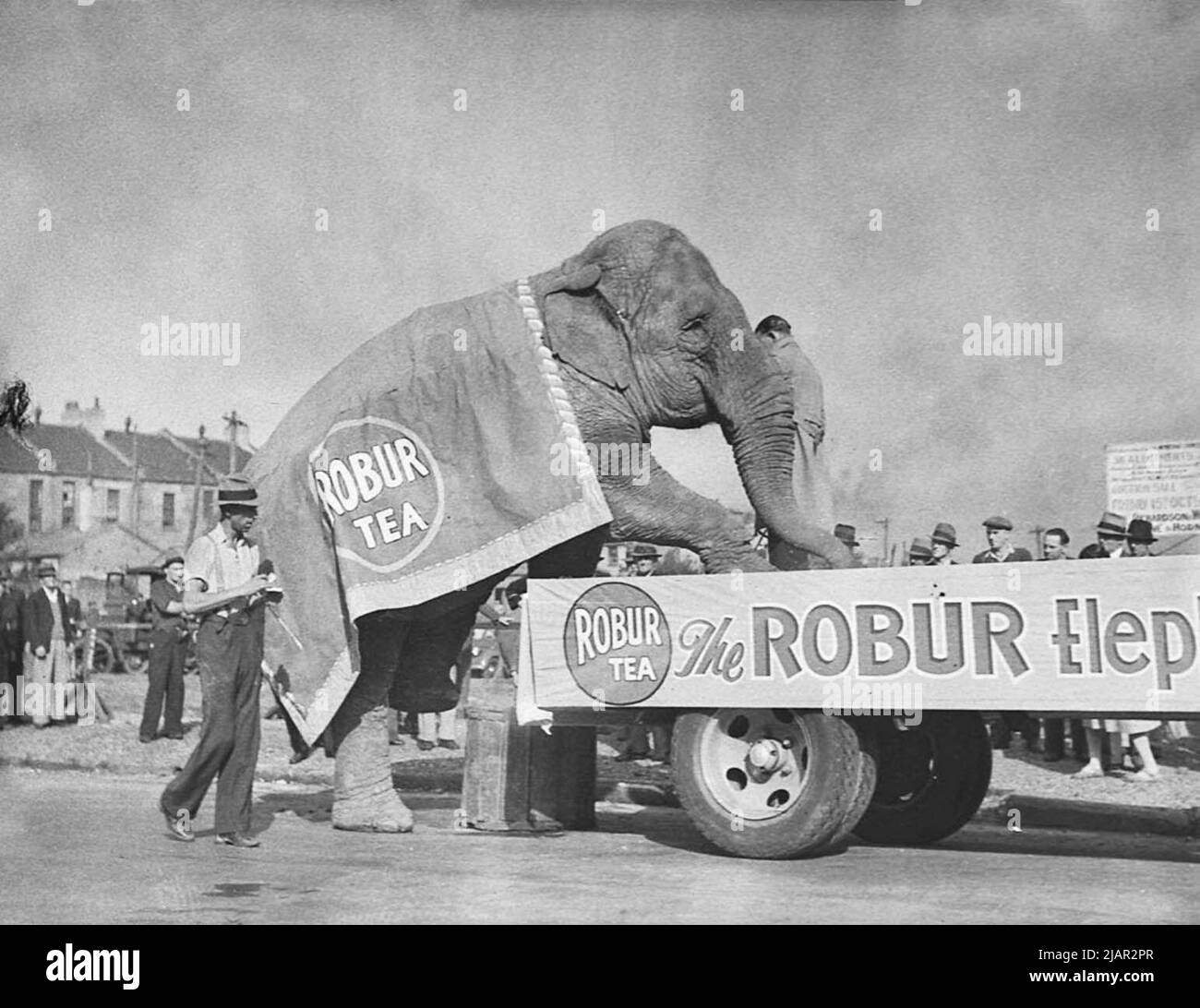 1939 elephant advertisment hi-res stock photography and images - Alamy