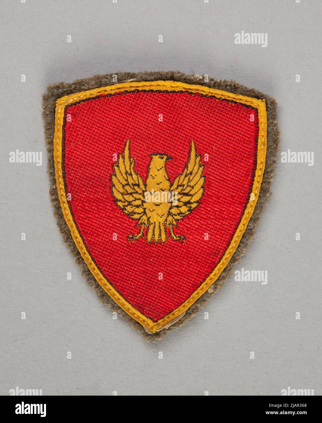 Paramilitary defense organization hi-res stock photography and images ...