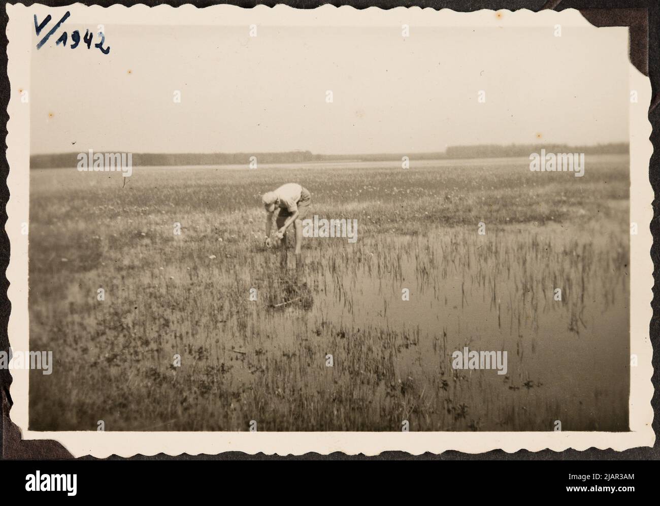 View of the wetland in the depths of the frame bent the figure of a man ...