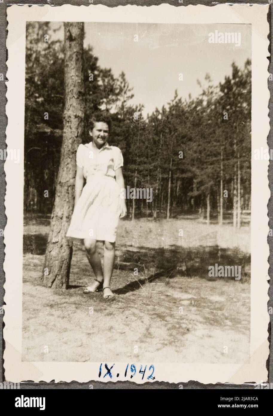 A young woman standing in a forest clearing based on a tree trunk ...