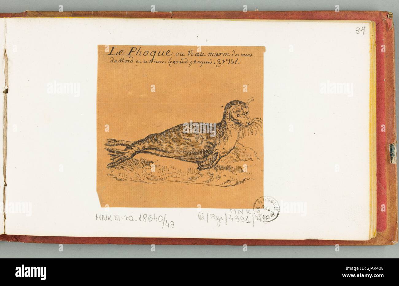 The seal (Foka), W: Draw at the pen by Huet fils. Designer of the ...
