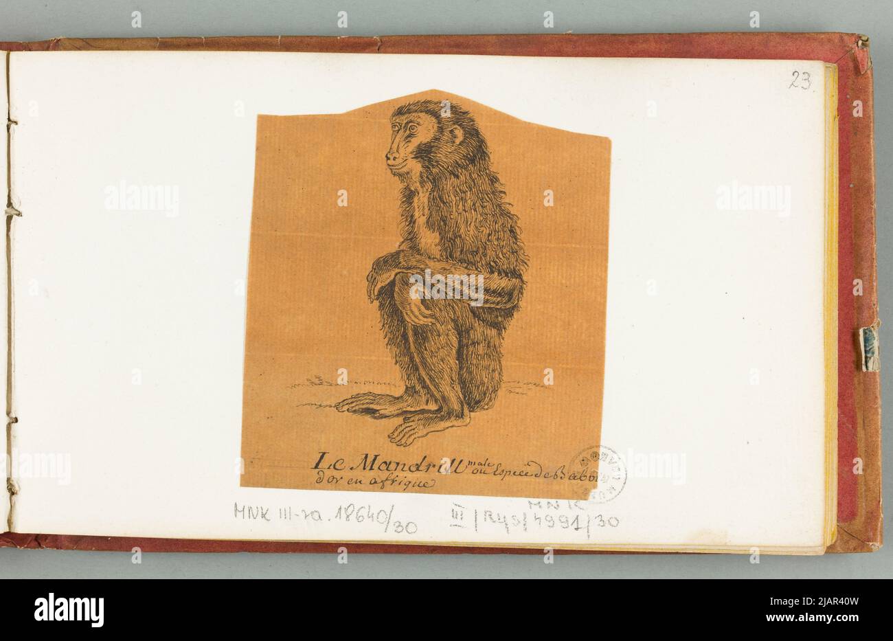 Nicolas huet hi-res stock photography and images - Alamy