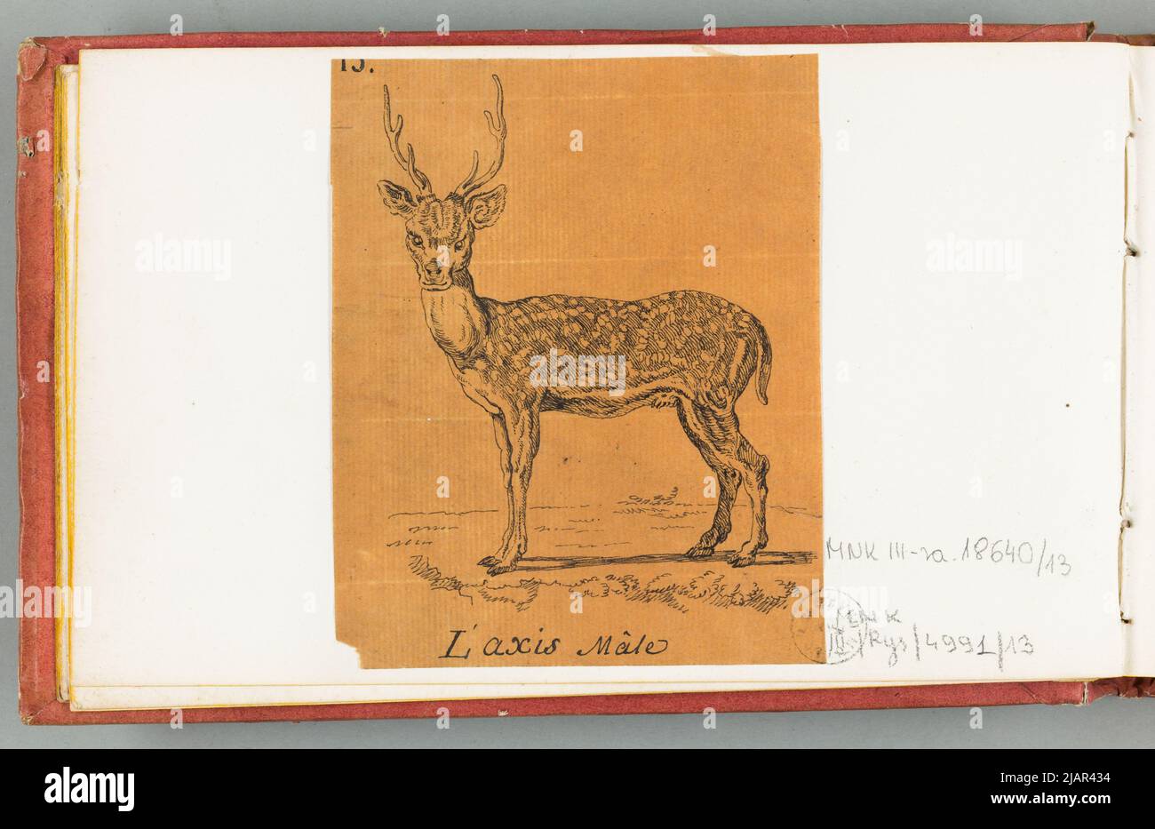 Nicolas huet hi-res stock photography and images - Alamy