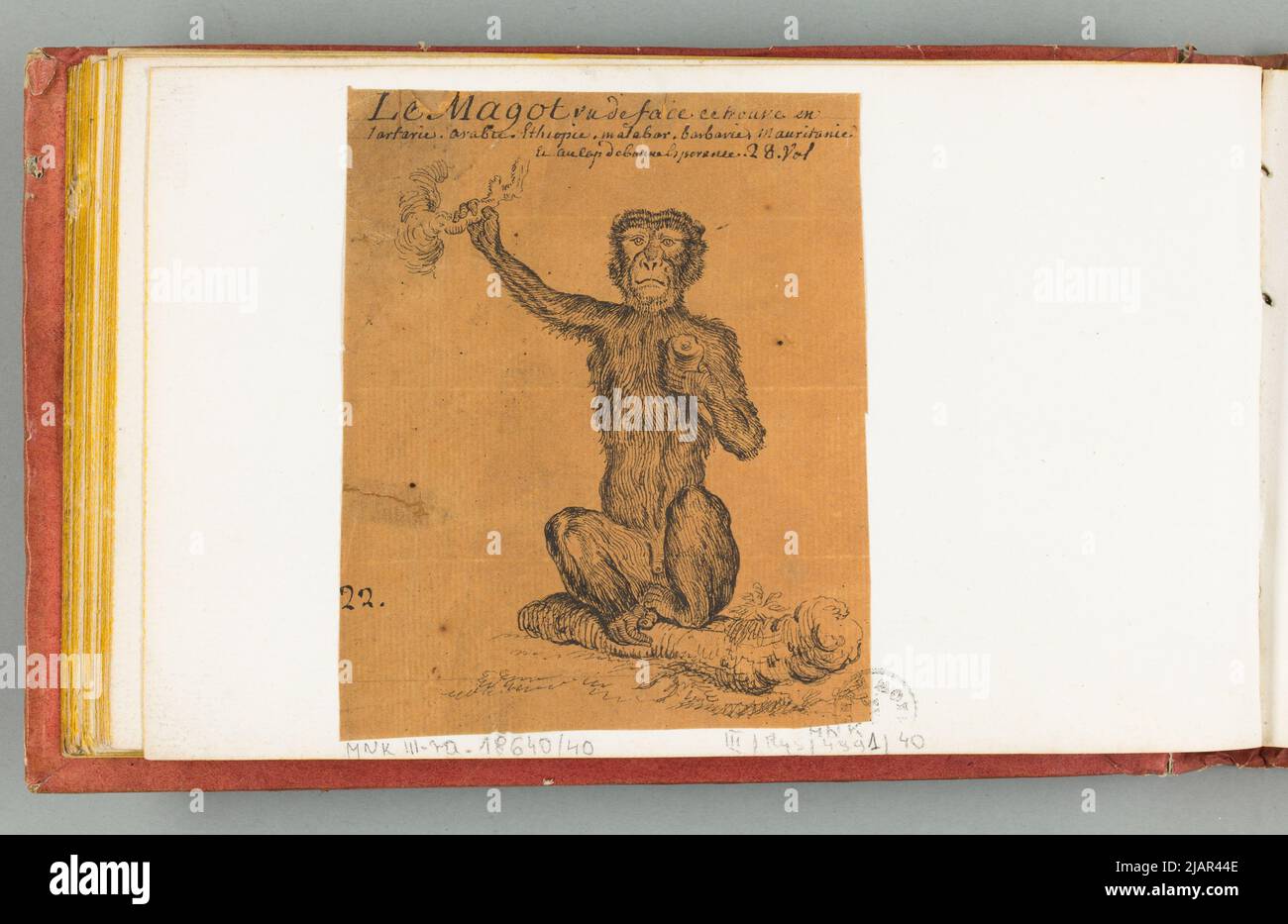 Nicolas huet hi-res stock photography and images - Alamy