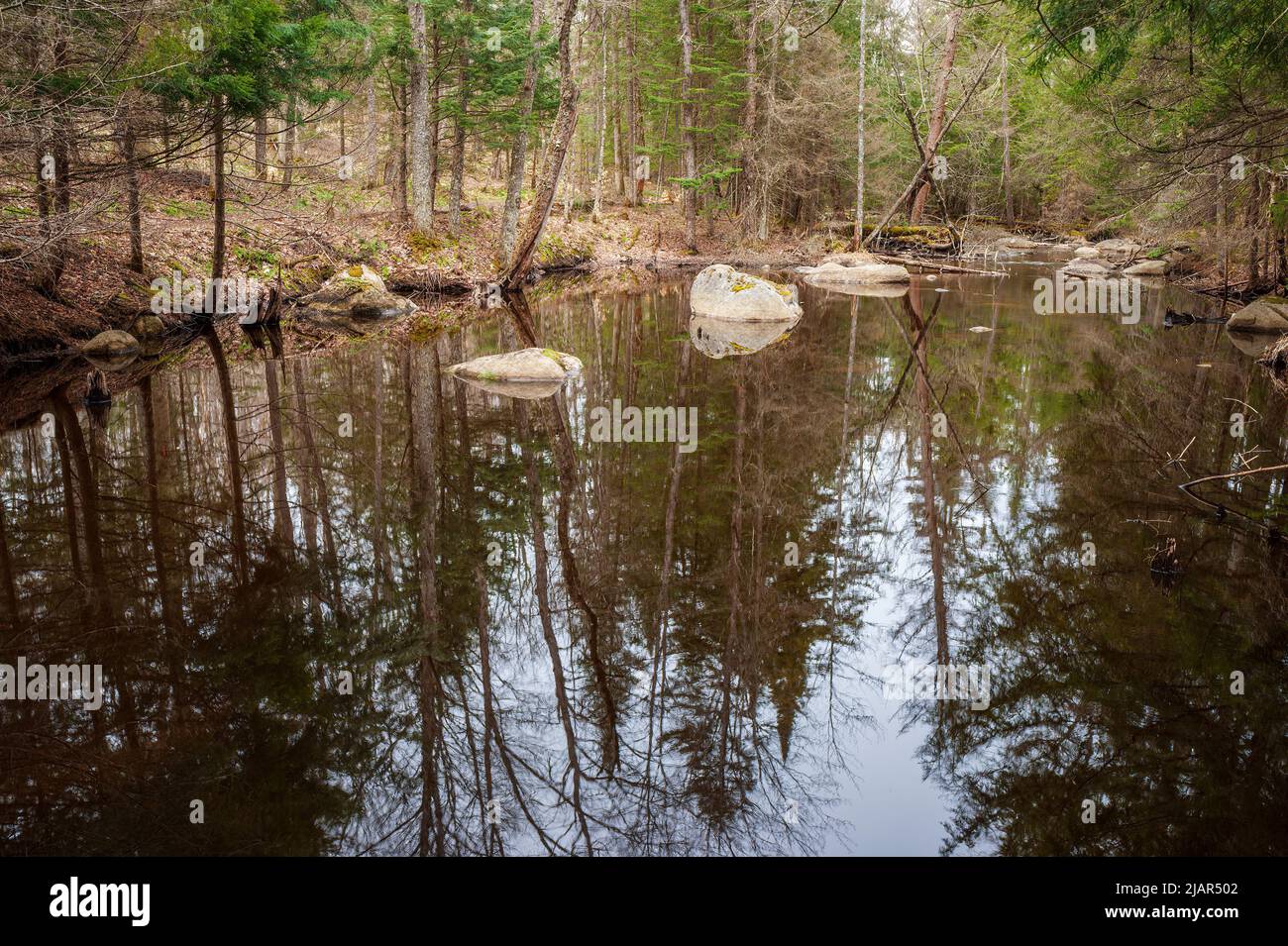 Paul smiths college vic hi-res stock photography and images - Alamy