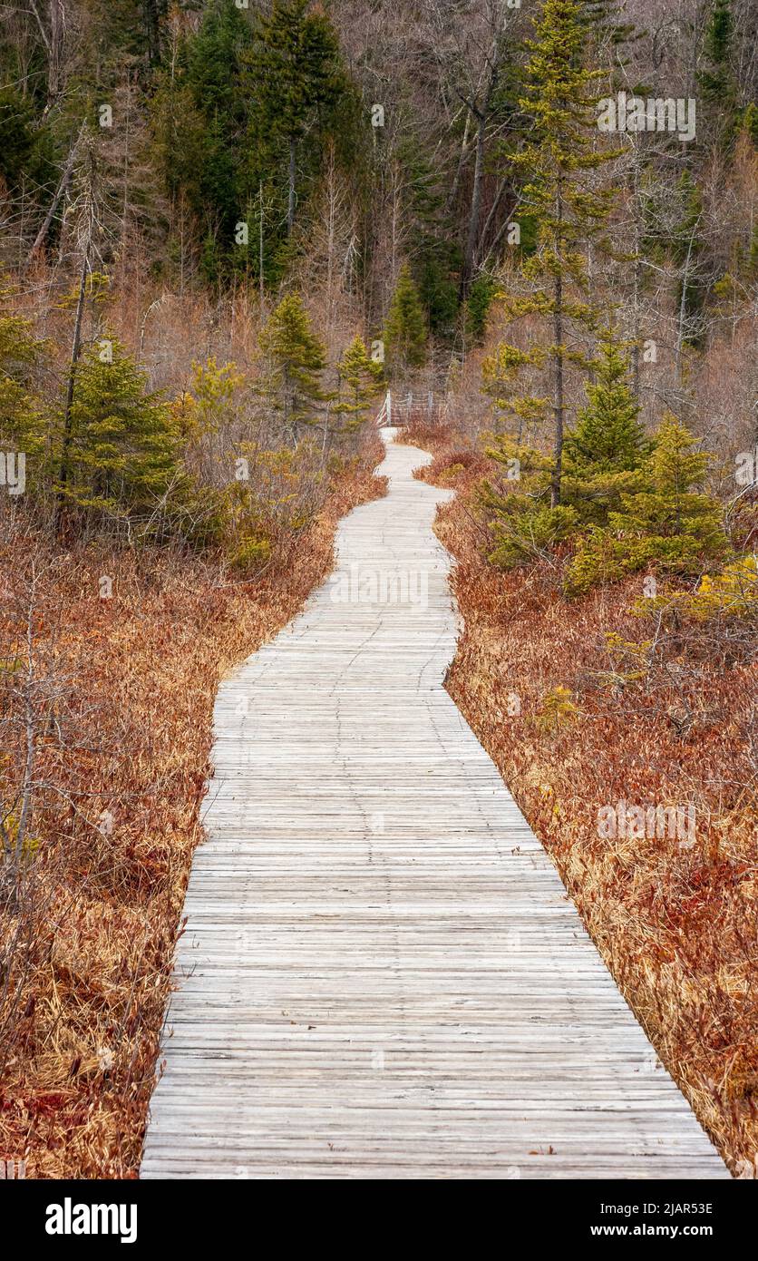 Paul smiths college vic hi-res stock photography and images - Alamy