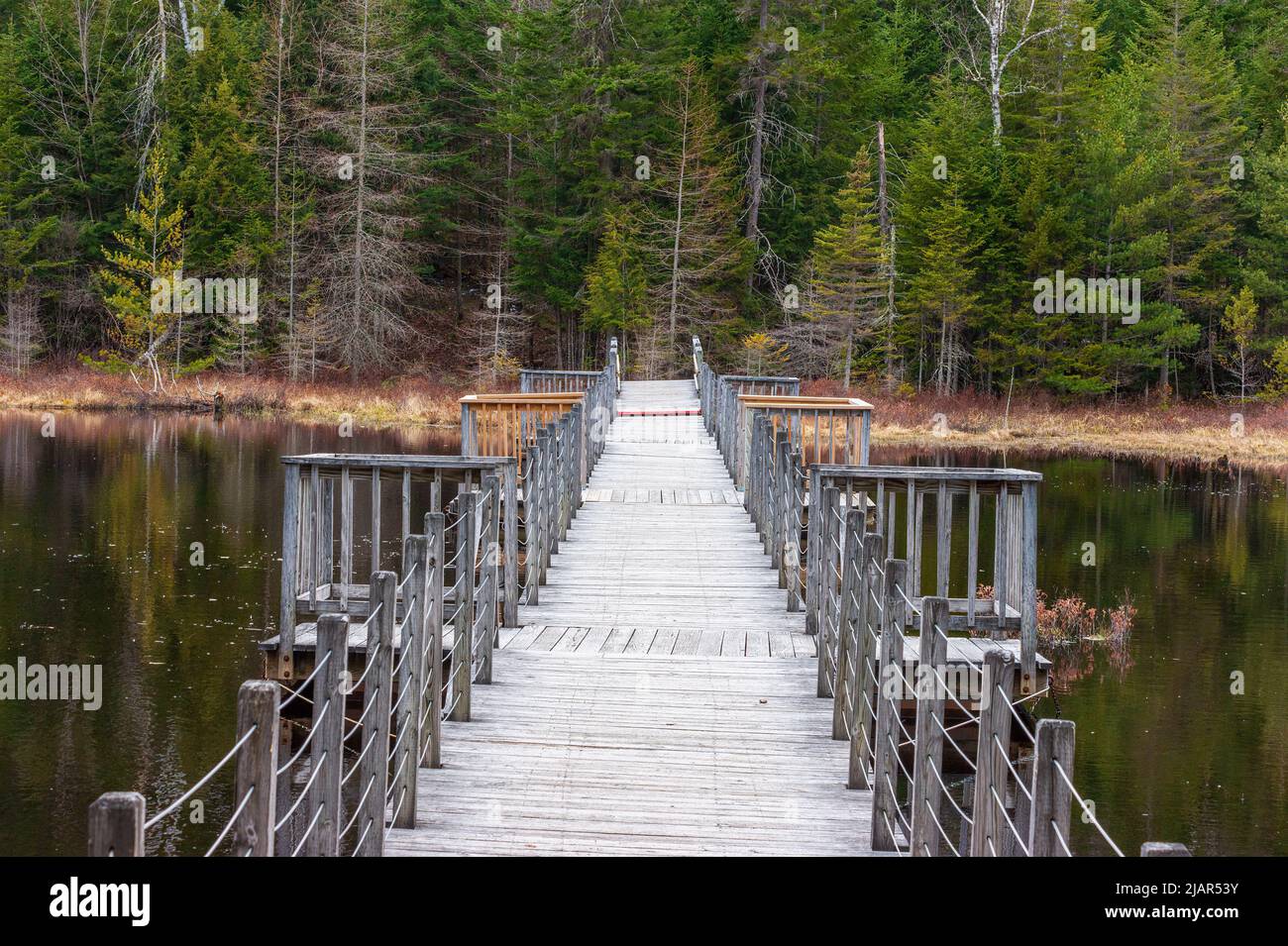Boardwalk over the Heron Marsh. Nature trail with observation platforms. Paul Smith's College ...