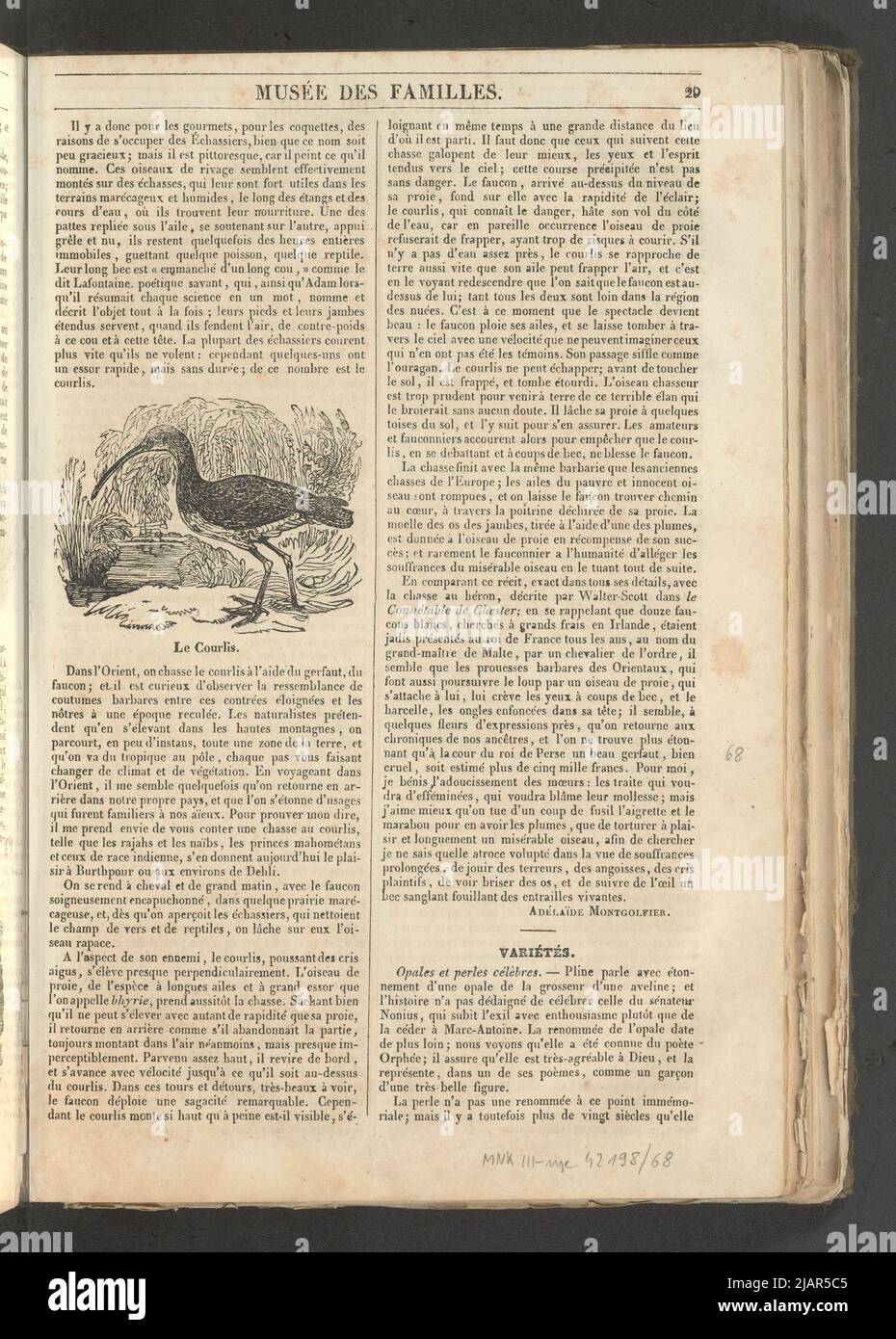 Yearbook 2, Notebook 4, January 1834 Kulik (Bird from the Bekasowy ...