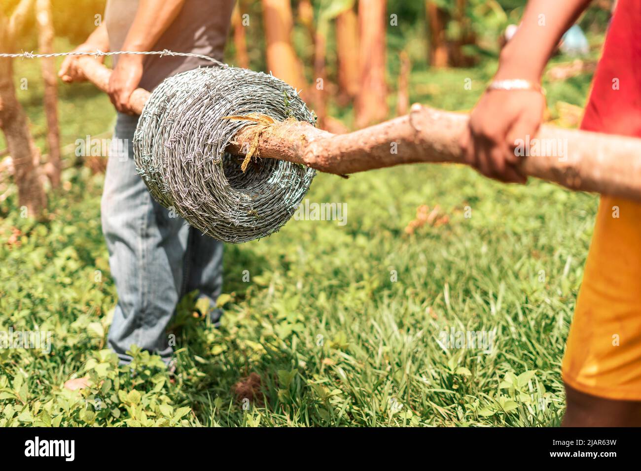 Two unrecognizable peasants holding a roll of barbed wire coiled on a ...
