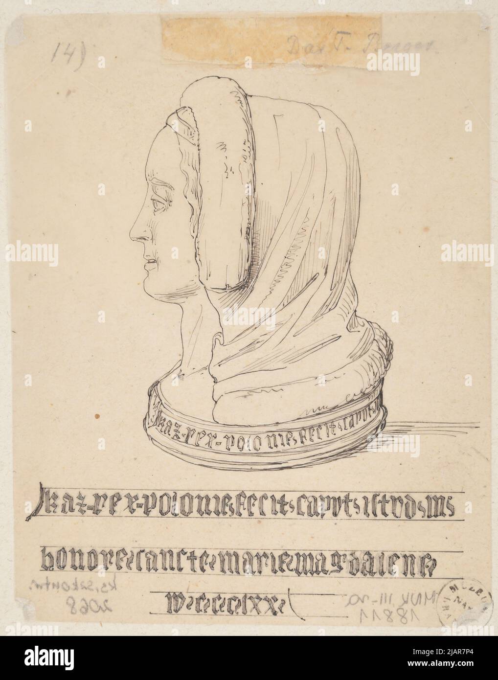 Drawing of a sculpture depicting the head of St. Mary Magdalena, made ...
