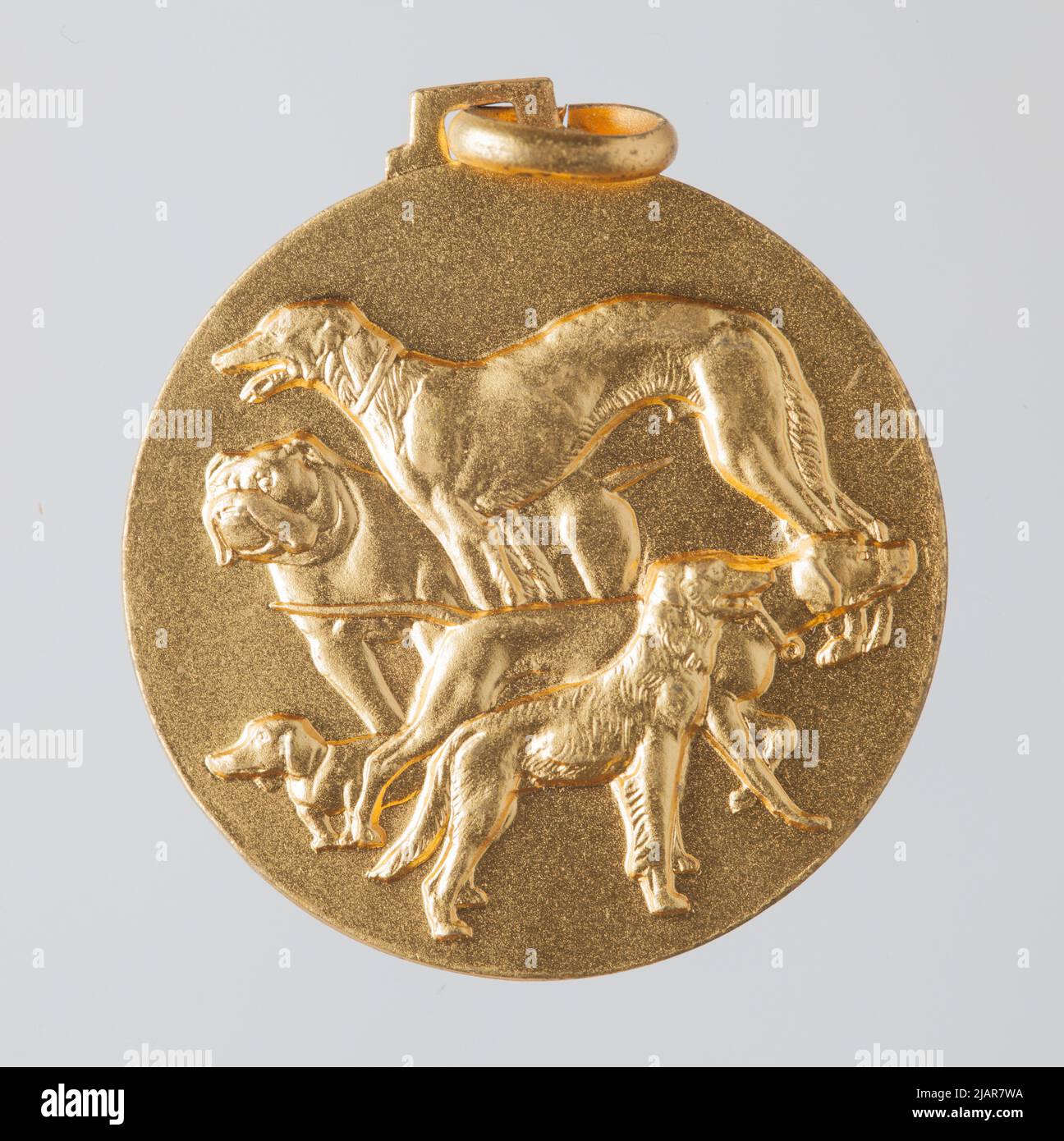 Award medal, International Dog Exhibition in Verona Stock Photo - Alamy