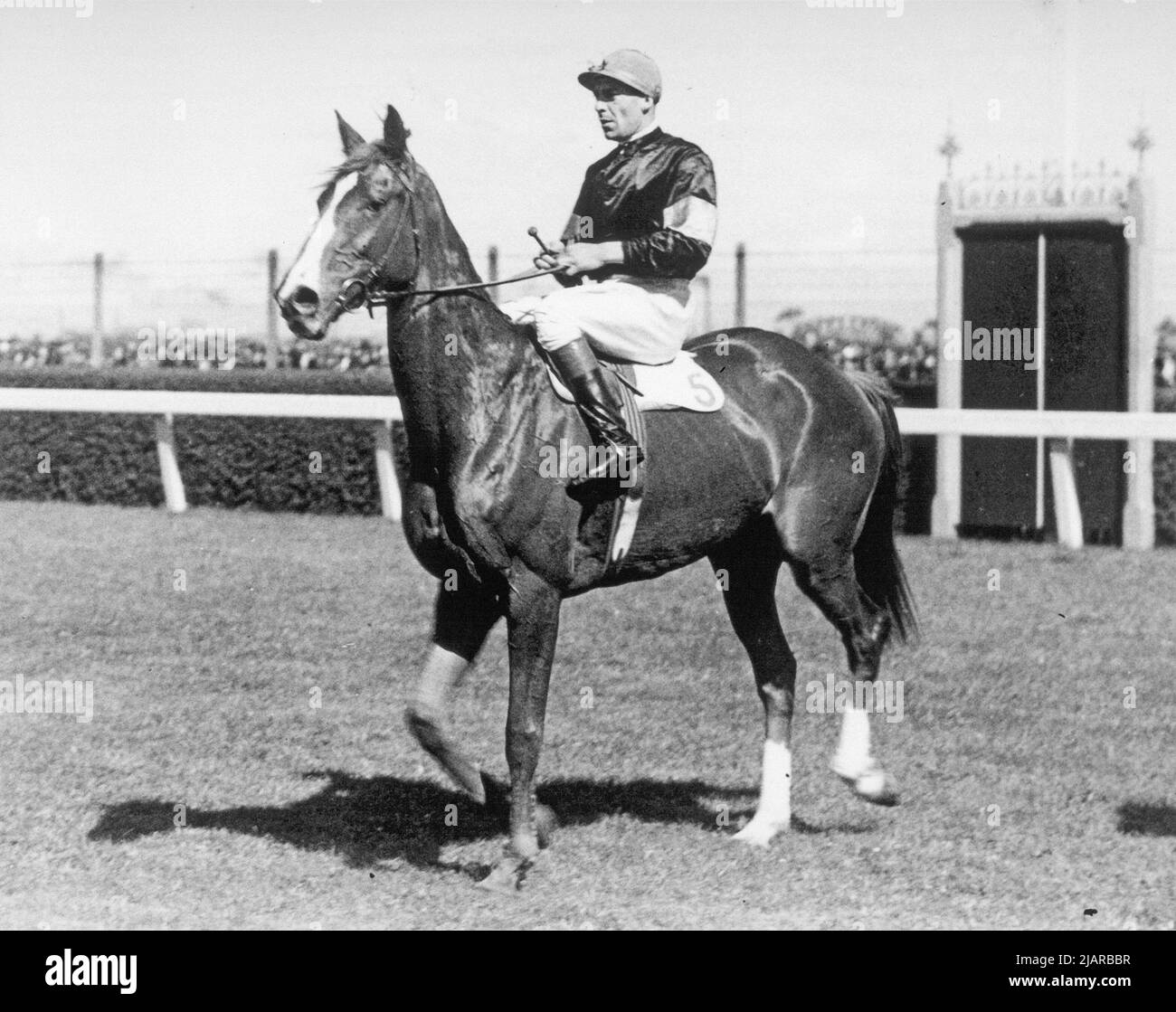1933 VRC Melbourne Stakes Jockey Darby Munro Stock Photo - Alamy