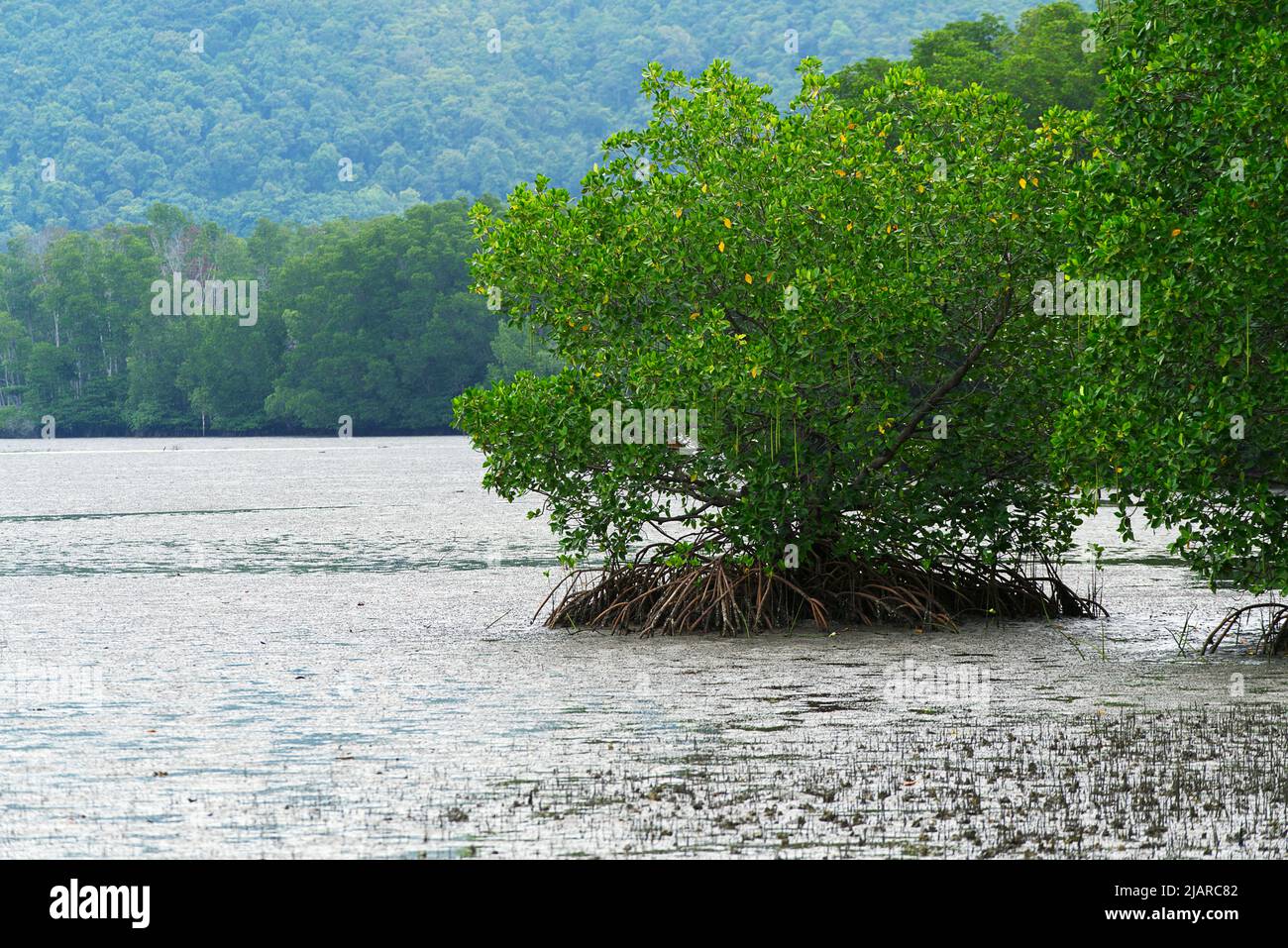 Khung kraben hi-res stock photography and images - Alamy