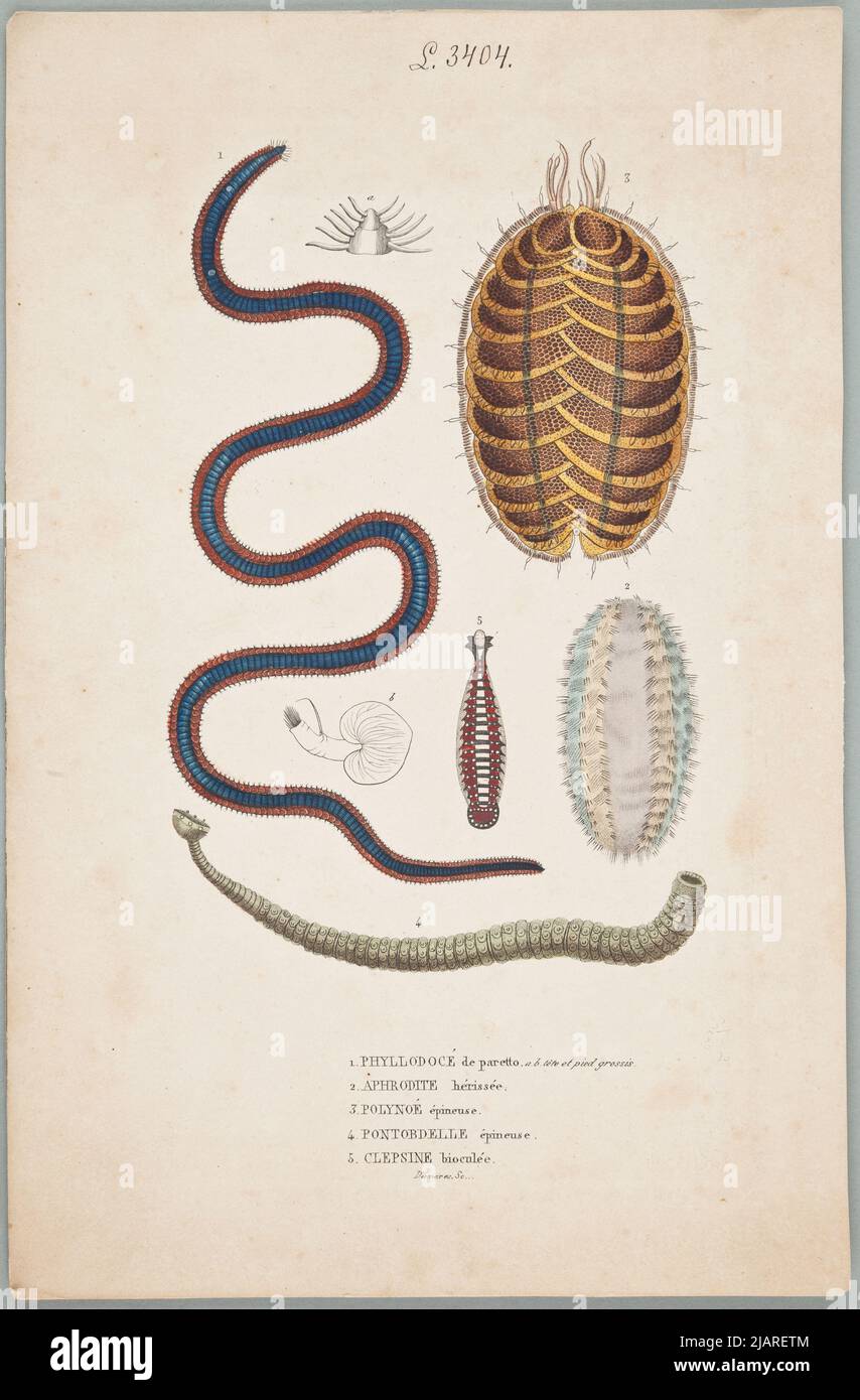 Paretto hi-res stock photography and images - Alamy