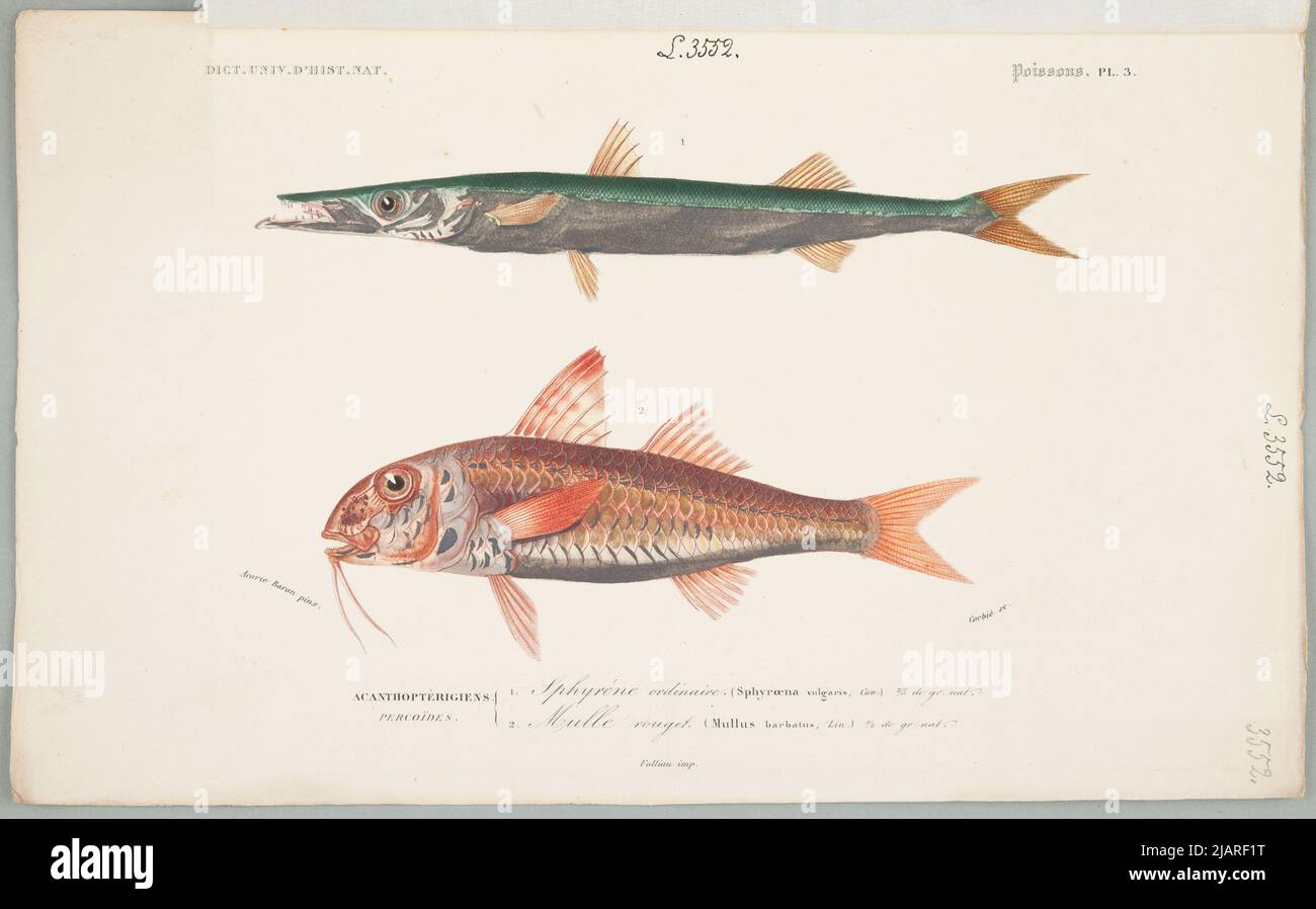 Fish mites hi-res stock photography and images - Alamy