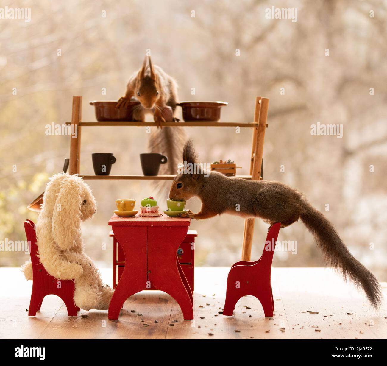 Cooked squirrel hi-res stock photography and images - Alamy