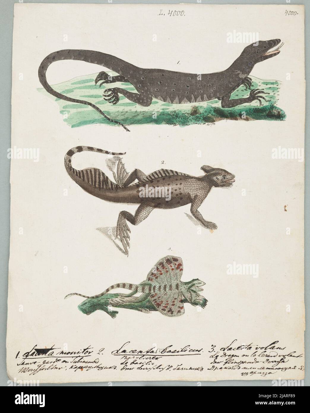 Monitor from the album hi-res stock photography and images - Alamy