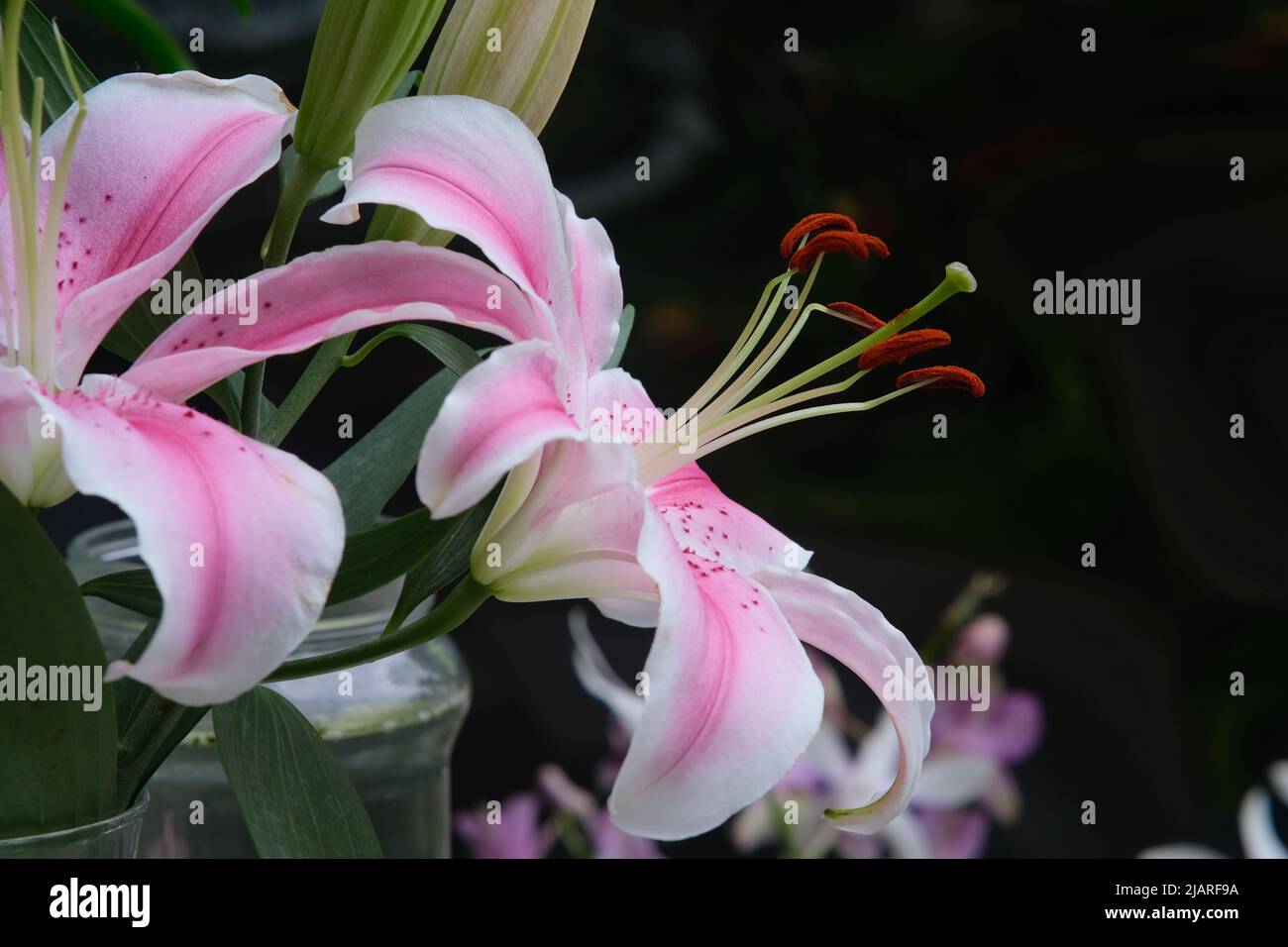 Flowers and bess in the garden Stock Photo - Alamy