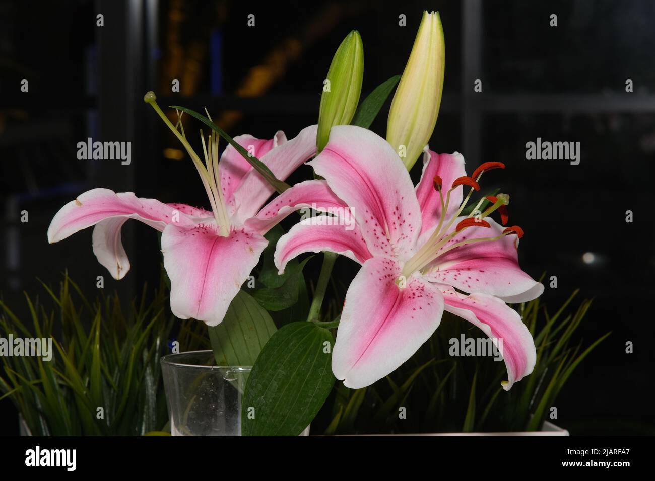 Flowers and bess in the garden Stock Photo - Alamy
