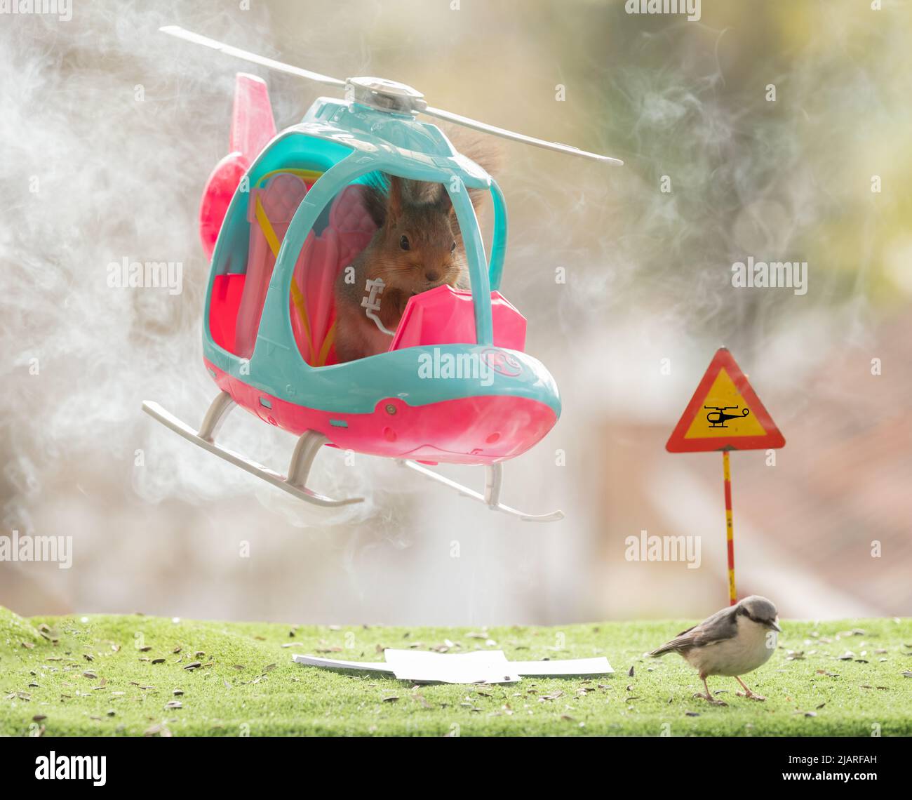 Animal transport helicopter hi-res stock photography and images - Alamy