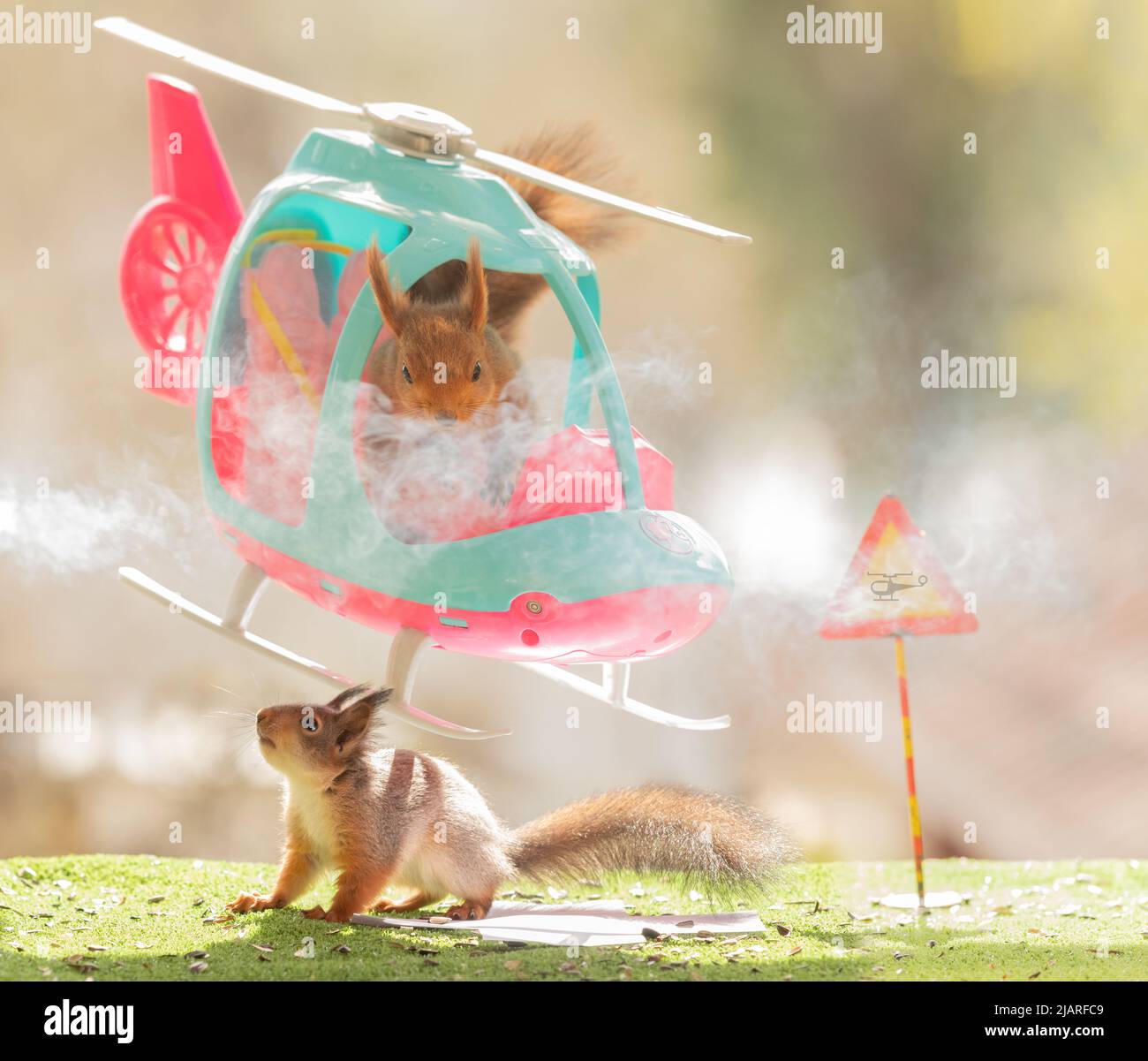 Funny helicopter funny helicopter hi-res stock photography and images ...