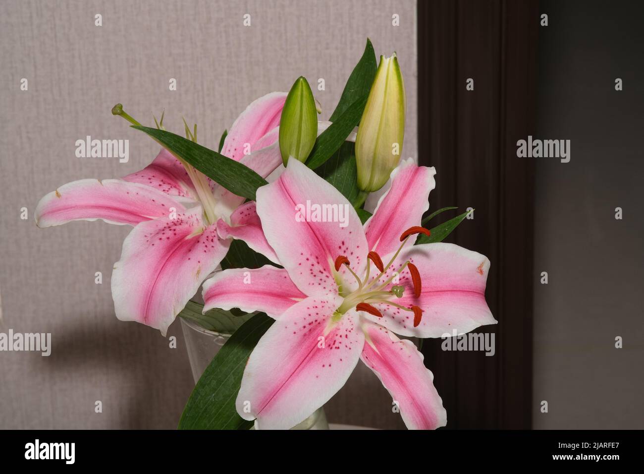 Flowers and bess in the garden Stock Photo - Alamy