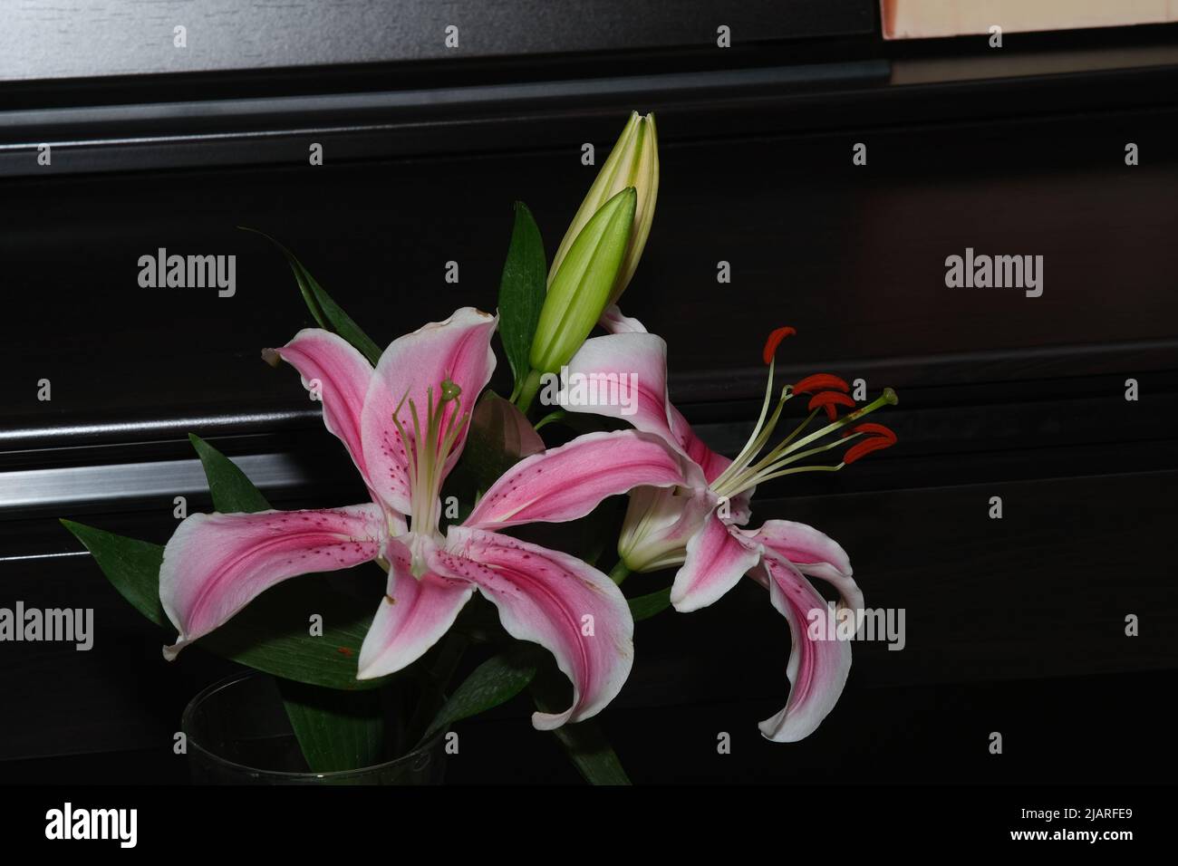 Flowers and bess in the garden Stock Photo - Alamy